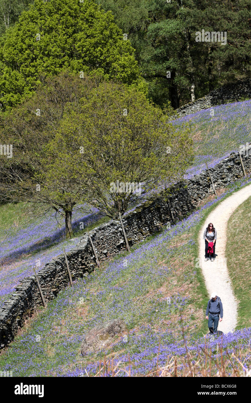 Walk walkers hi-res stock photography and images - Alamy