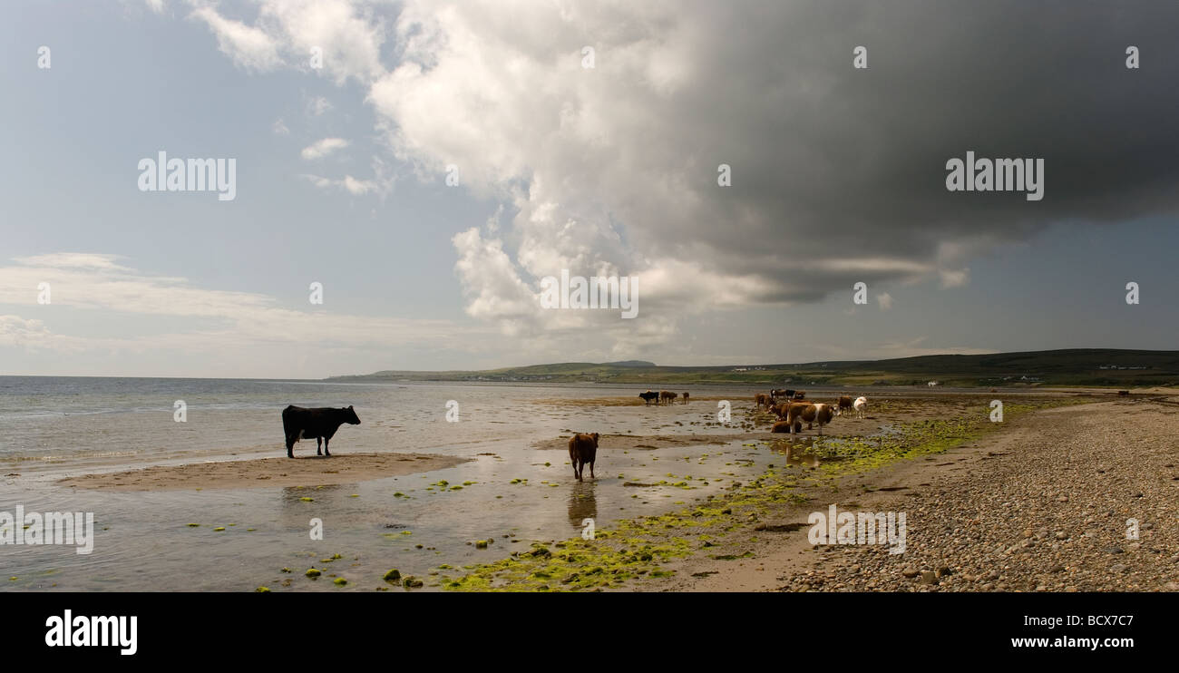Islay bowmore round church hi-res stock photography and images - Alamy