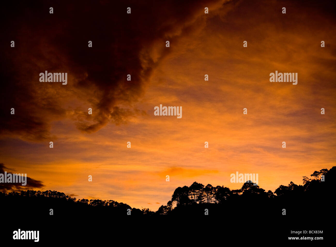 The sun sets behind a tree lined horizon in northern Luzon in the ...