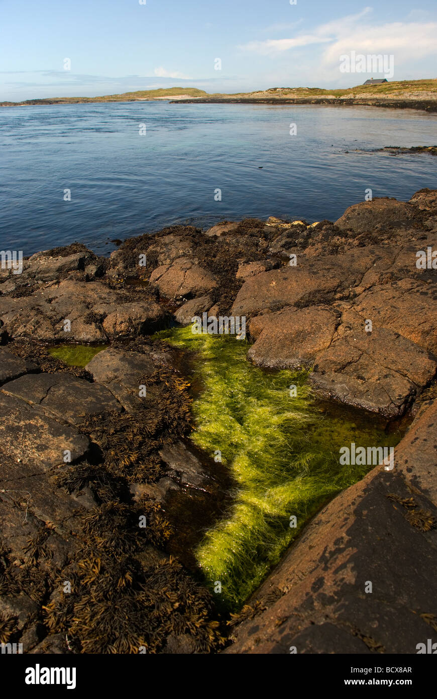Islay fishing hi-res stock photography and images - Alamy