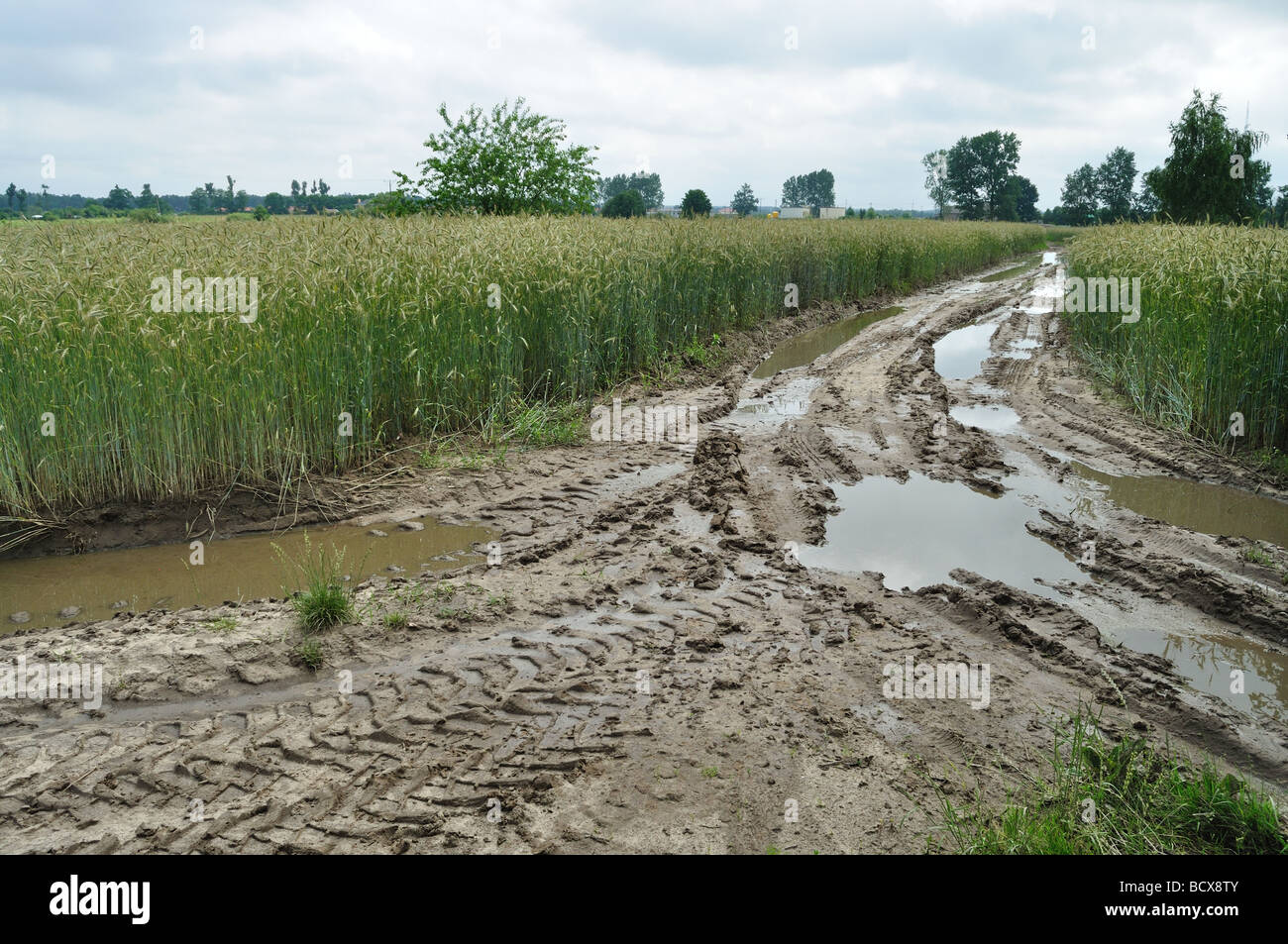 Road puddles hi-res stock photography and images - Alamy