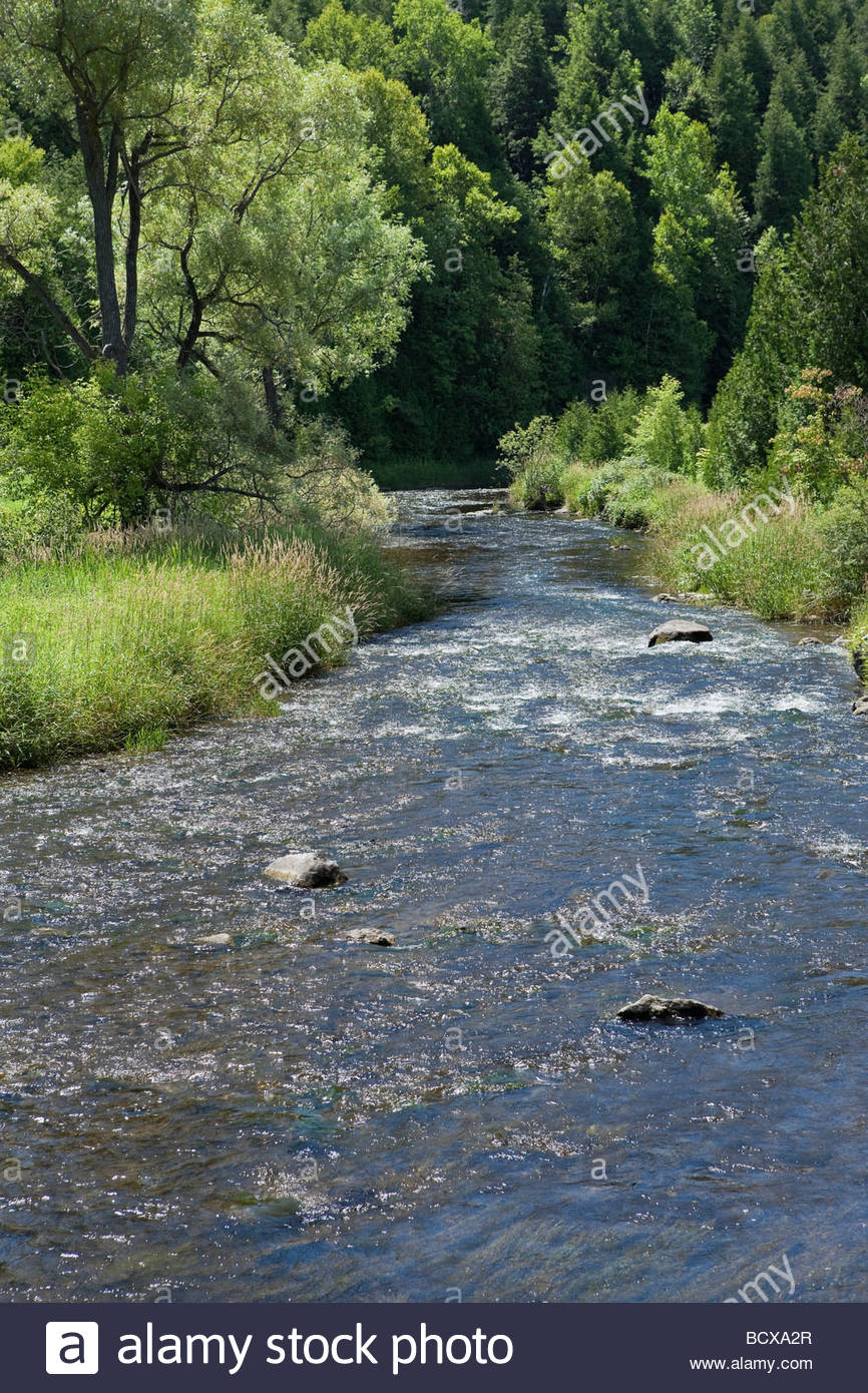 Credit River Ontario High Resolution Stock Photography and Images - Alamy