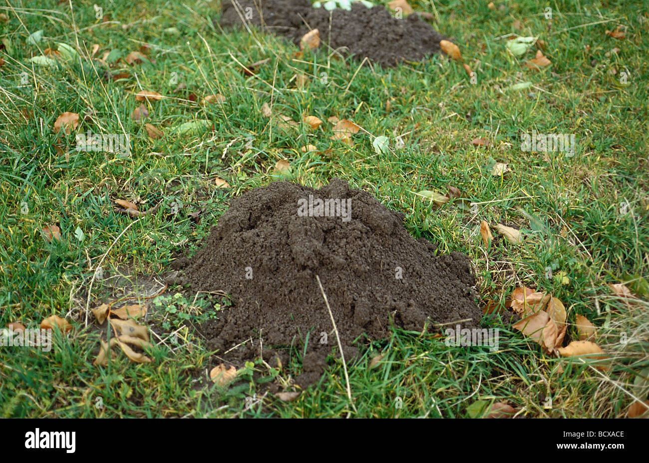 Mole hump hi-res stock photography and images - Alamy