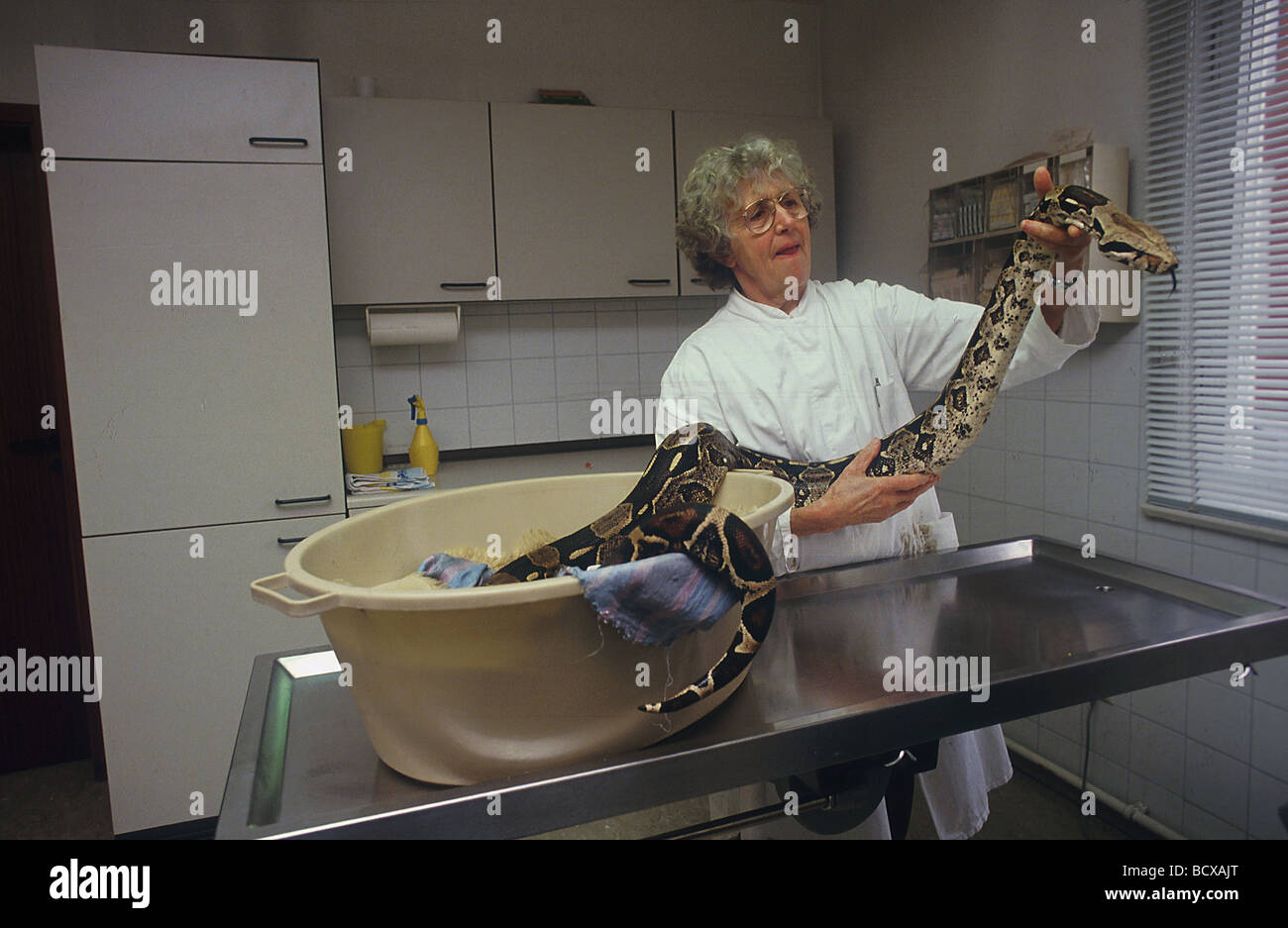 Snake doctor hi-res stock photography and images - Alamy