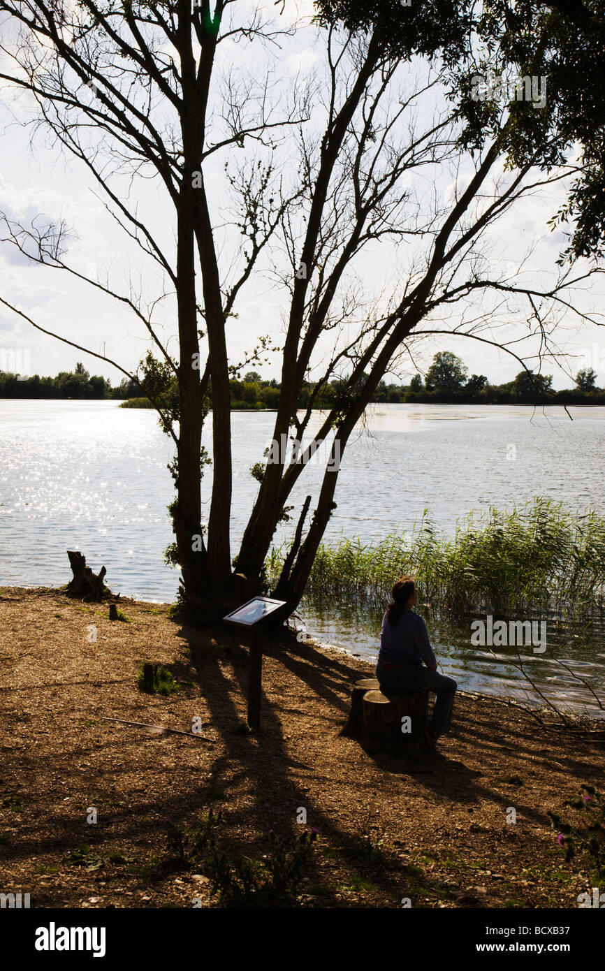 A lake in the RSPB "Fen Drayton Lakes" nature reserve, Cambridgeshire ...