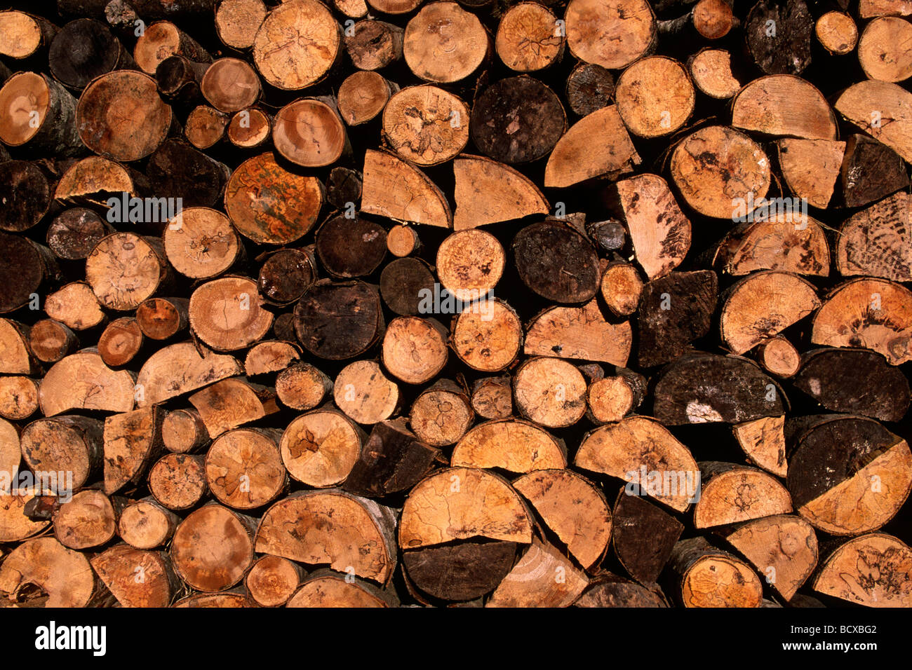 Timber In Italian at Ryder Sidaway blog