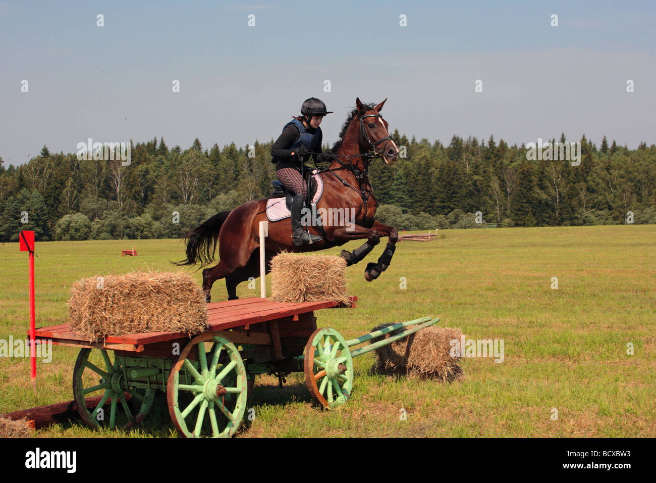 Event rider competing in cross country phase of competition Stock Photo ...