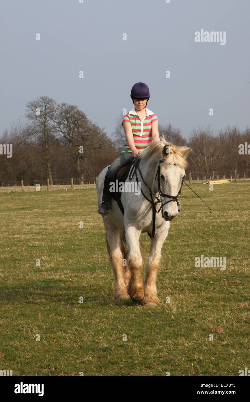 12 year old girl riding a grey Irish Draught horse Stock Photo - Alamy