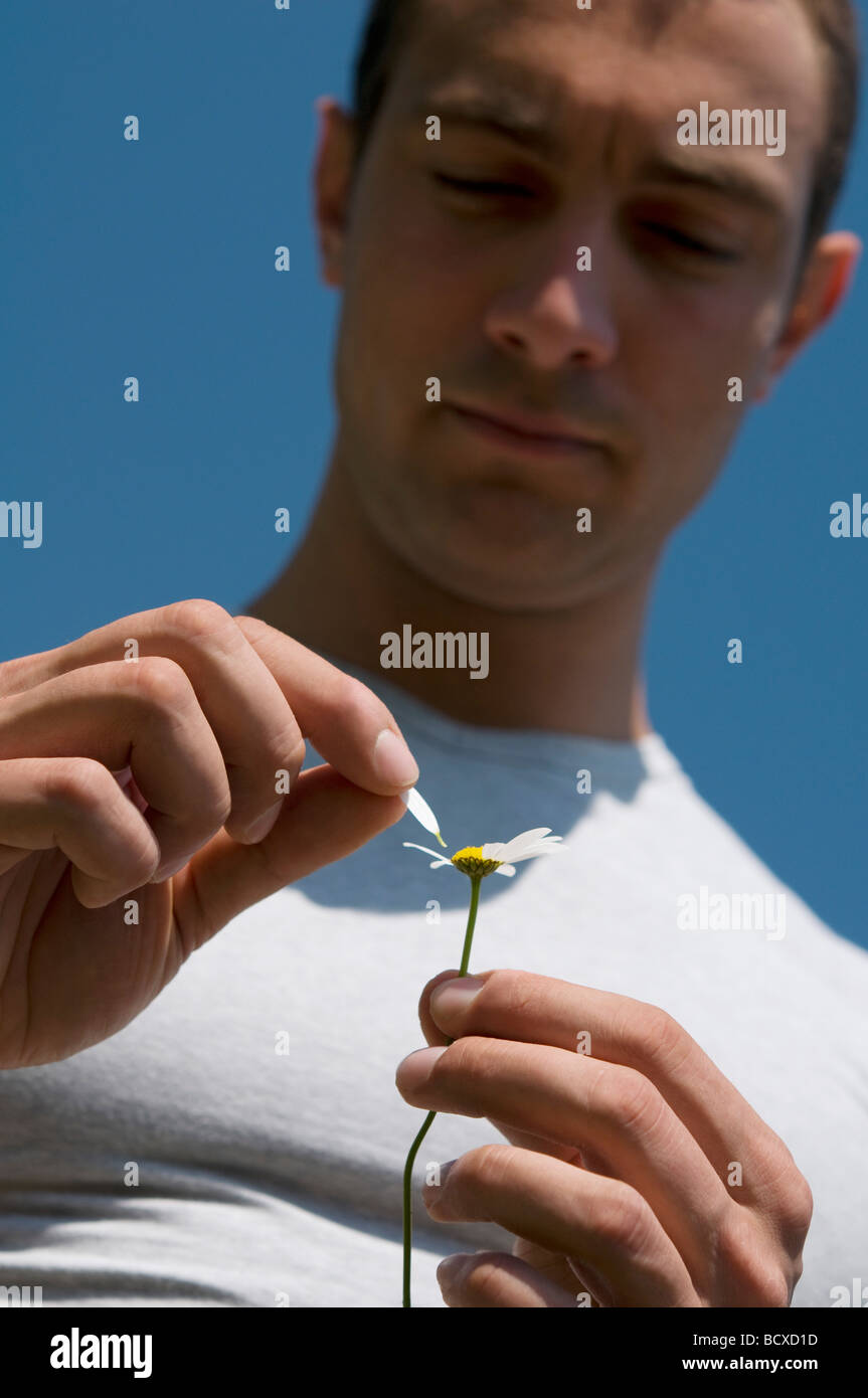Hand plucking petal daisy hi-res stock photography and images - Alamy