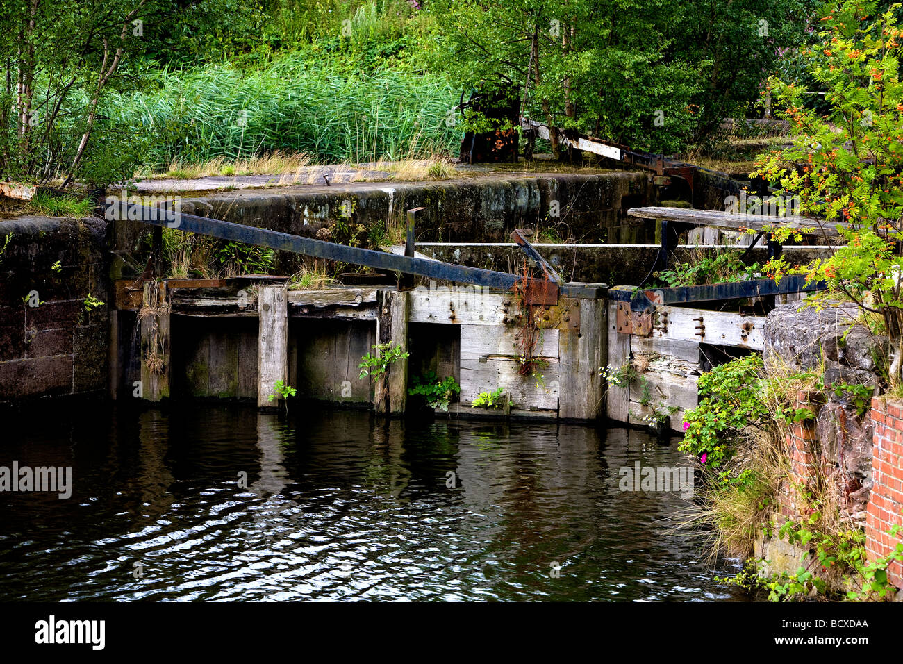 Old lock gates sit unused and deteriorating amongst the trees and weeds ...