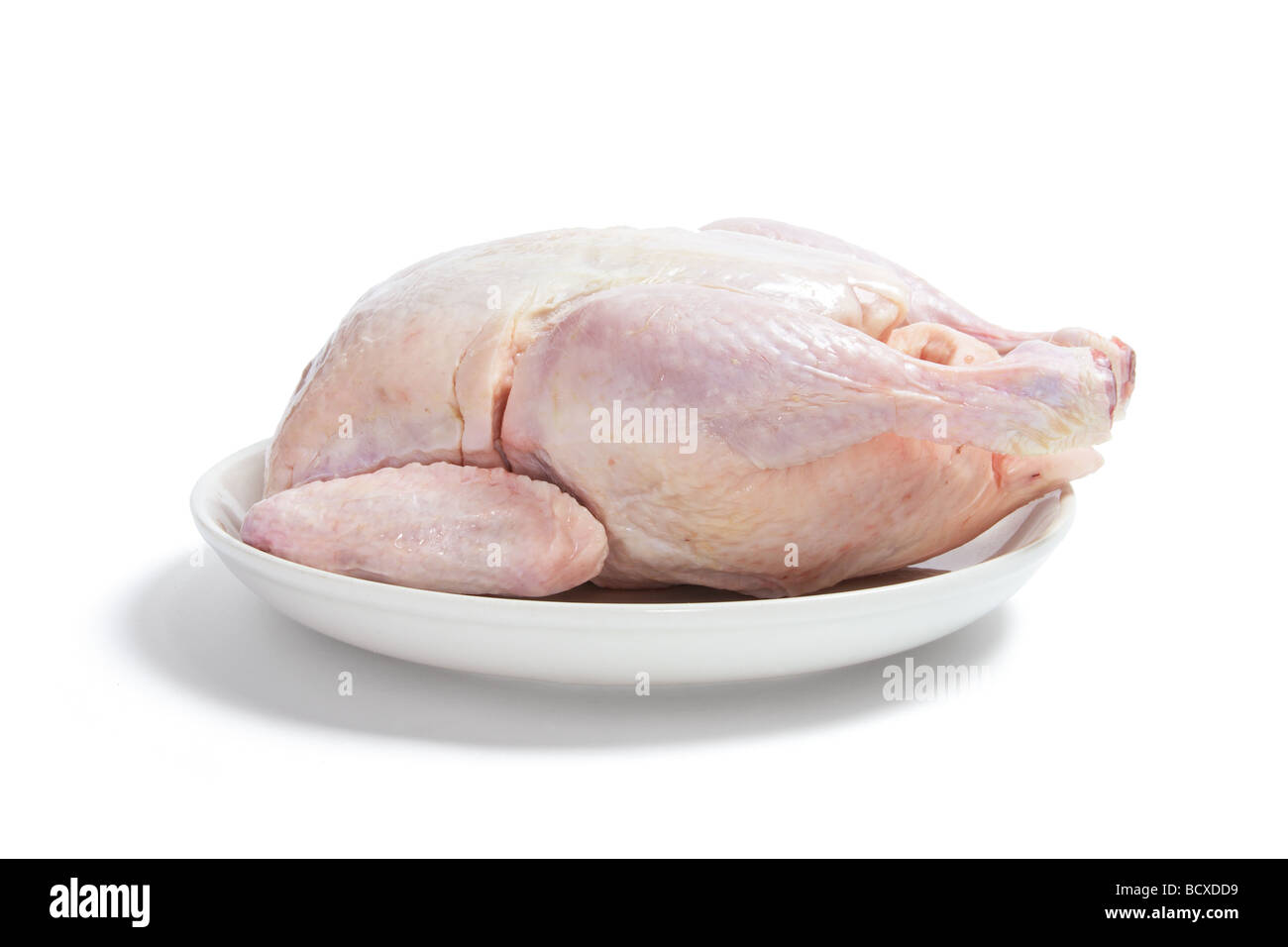 Uncooked chicken raw plate hi-res stock photography and images - Alamy