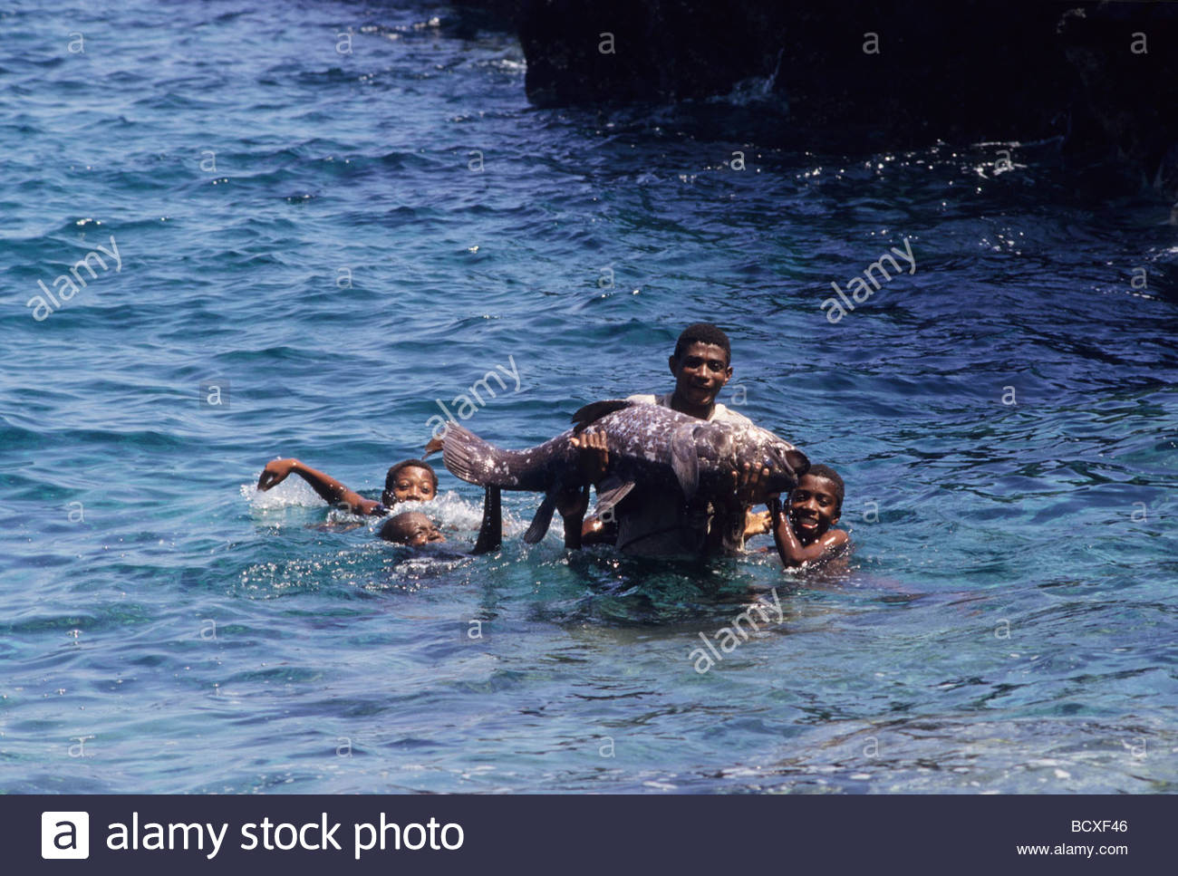 Coelacanth Stock Photos & Coelacanth Stock Images - Alamy