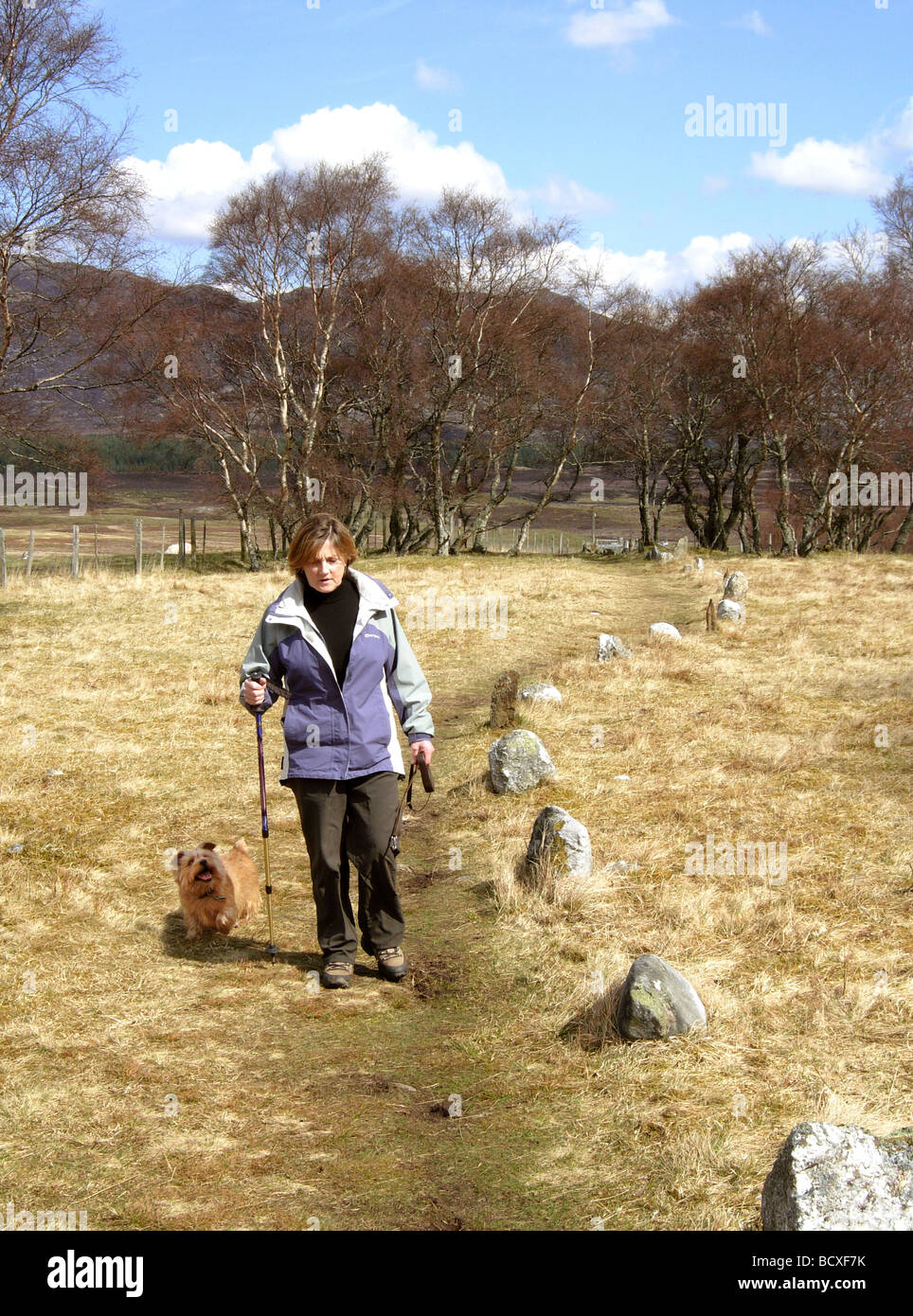 Walking on the Wild Cat Trail, Newtonmore Inverness-shire Scotland ...