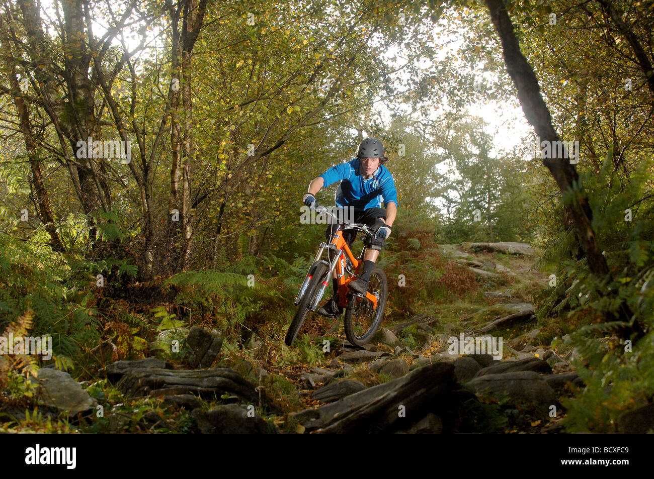 A mountain biker jumps over rocks Stock Photo - Alamy