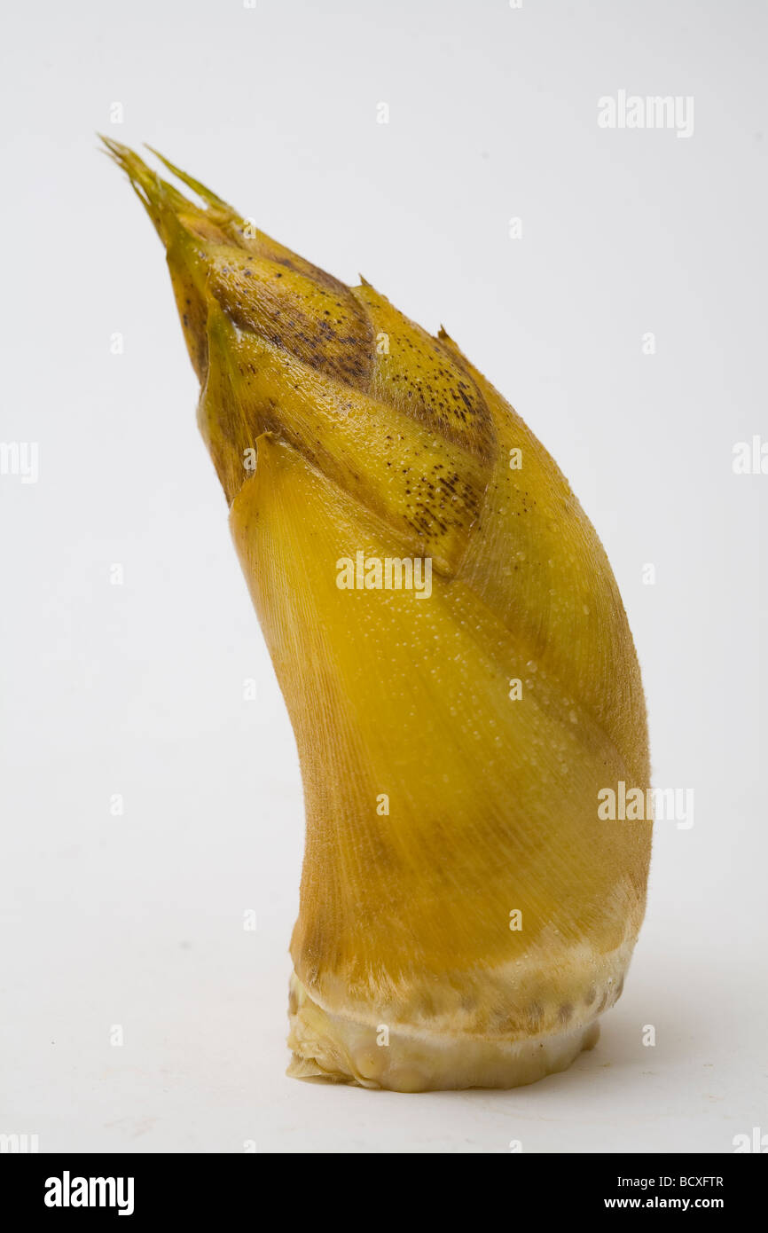 Vegetable shoot hi-res stock photography and images - Alamy