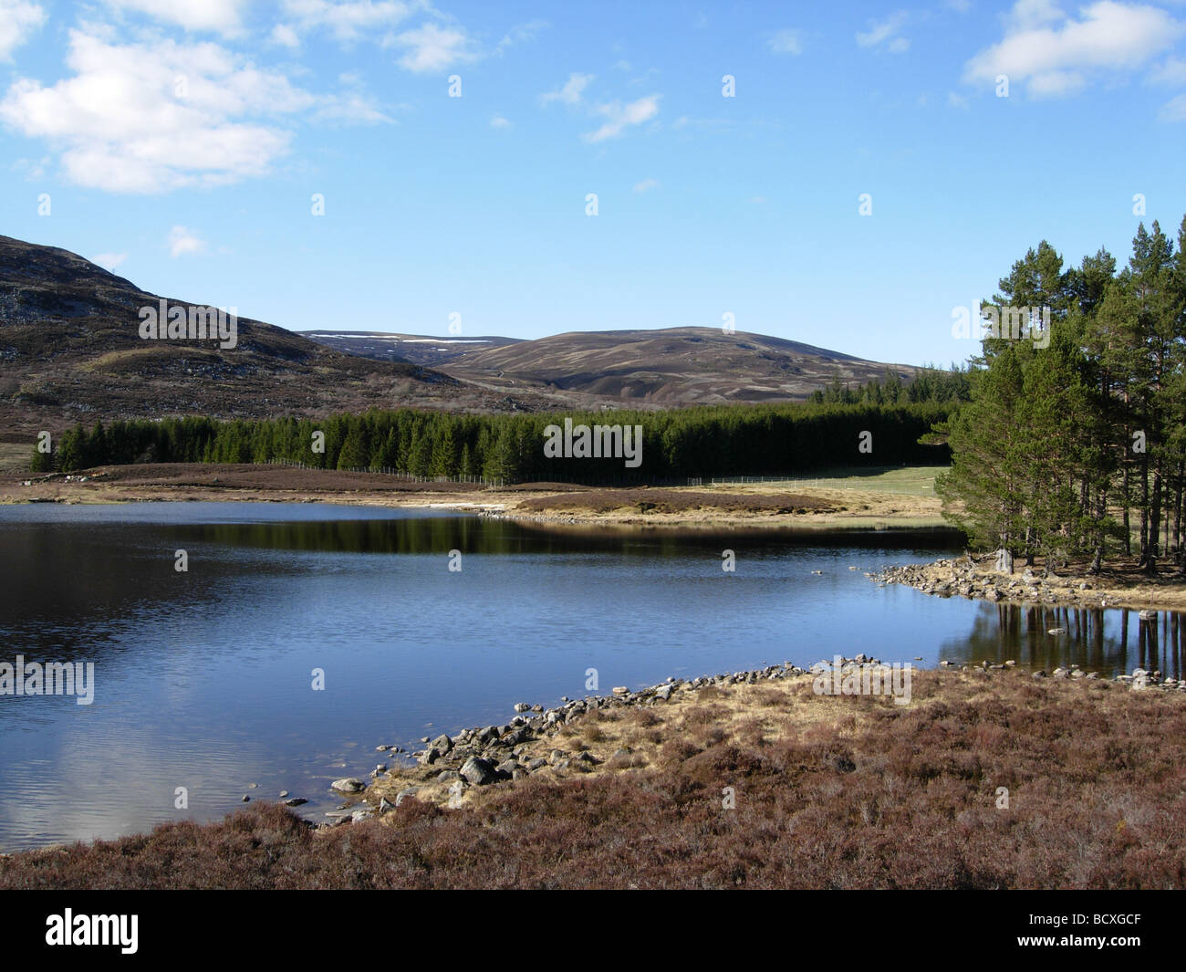 Loch Gynack at Kingussie, Inverness-shire on the Pitmain Estate Stock ...
