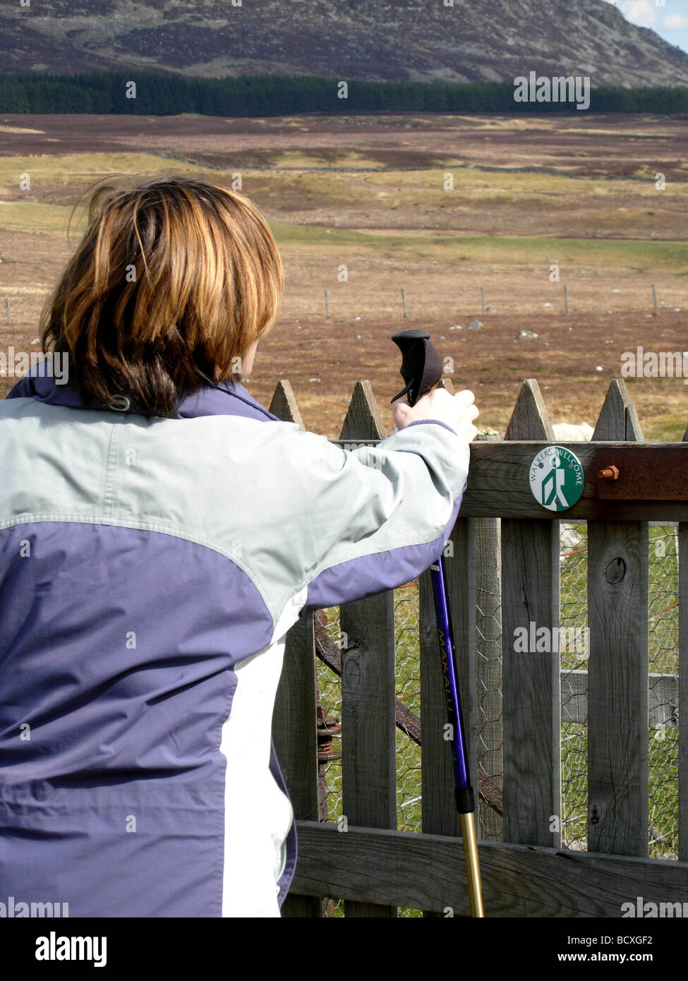 Walking on the Wild Cat Trail, Newtonmore Inverness-shire Scotland ...