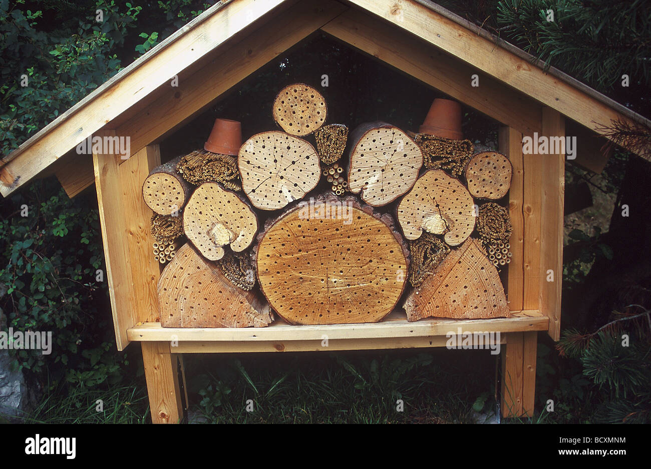 Insects nests hi-res stock photography and images - Alamy