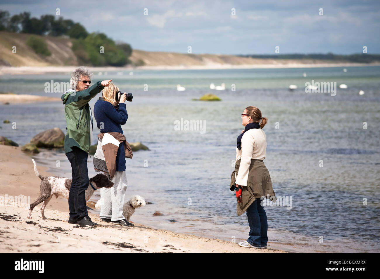 Photographer model and director at a shoot on the beach Stock Photo - Alamy