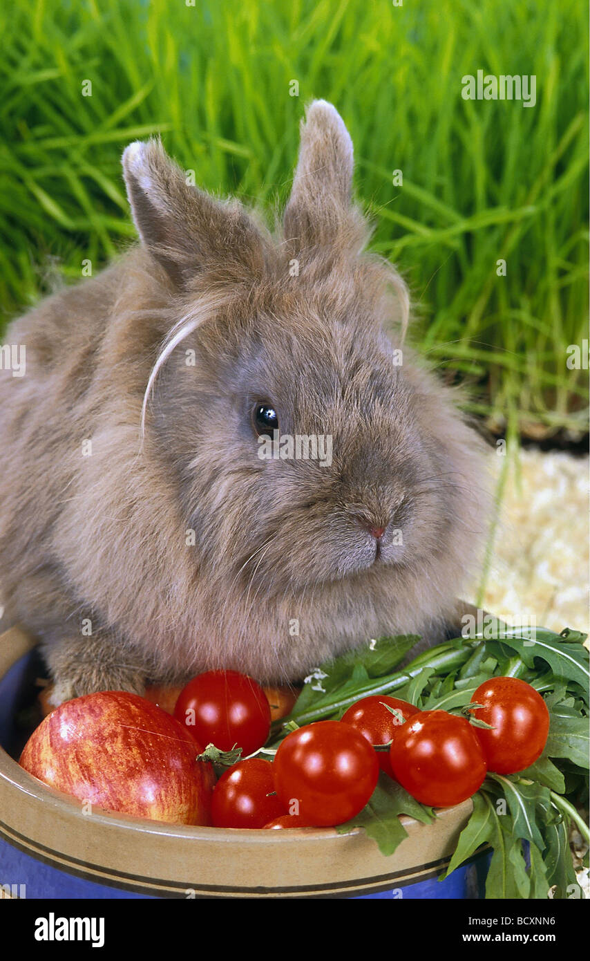Trough Fare High Resolution Stock Photography and Images - Alamy