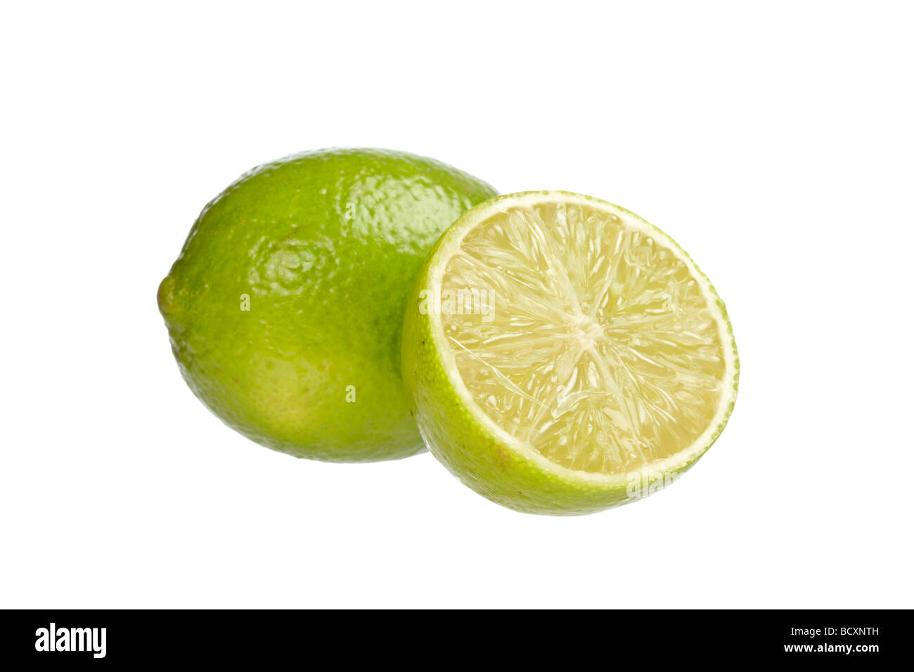 Succulent field Cut Out Stock Images & Pictures - Alamy