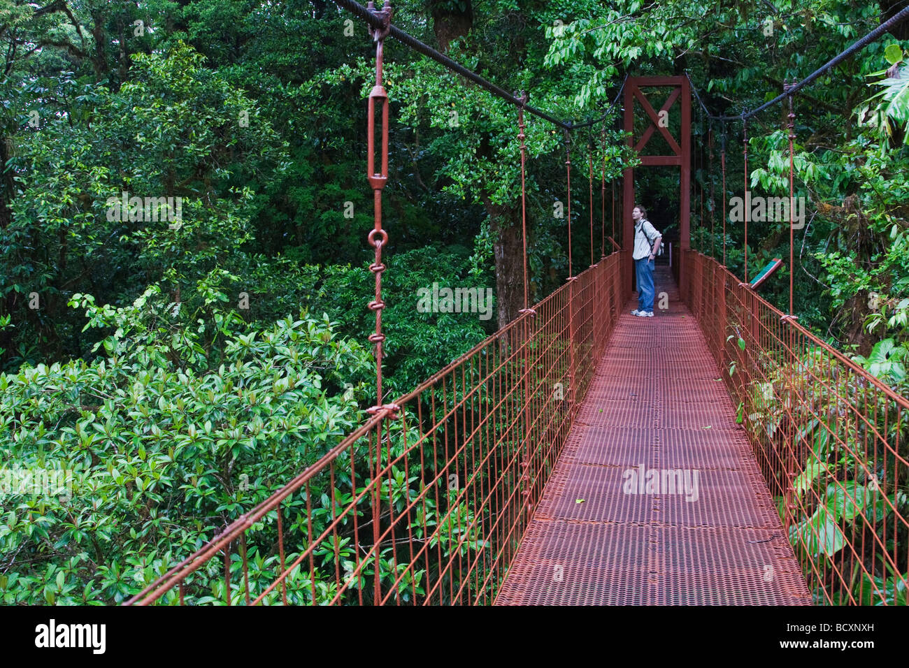 Canopy walkway hi-res stock photography and images - Alamy