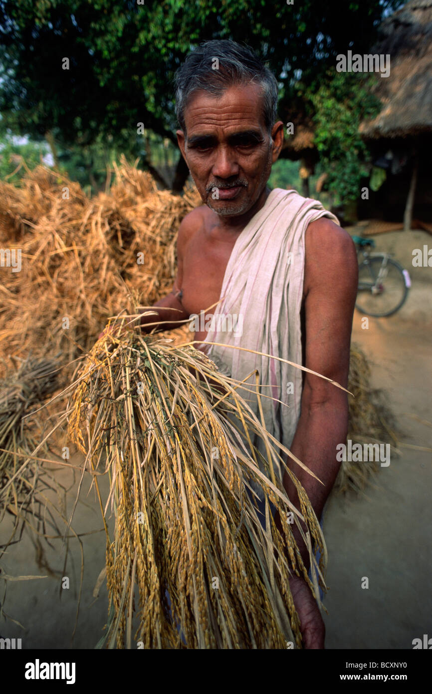 West indian man hi-res stock photography and images - Alamy