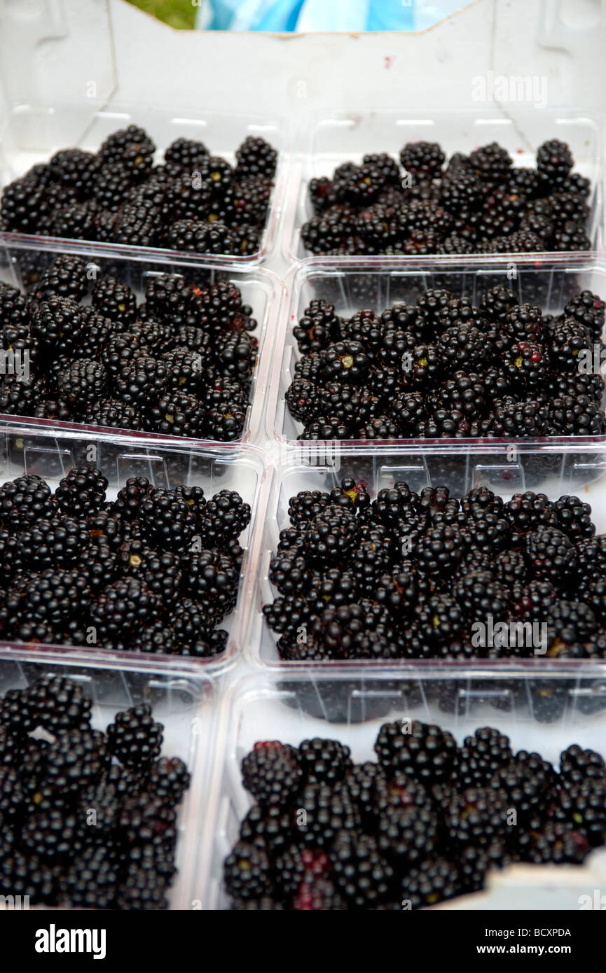 Punnets of blackberries Stock Photo - Alamy