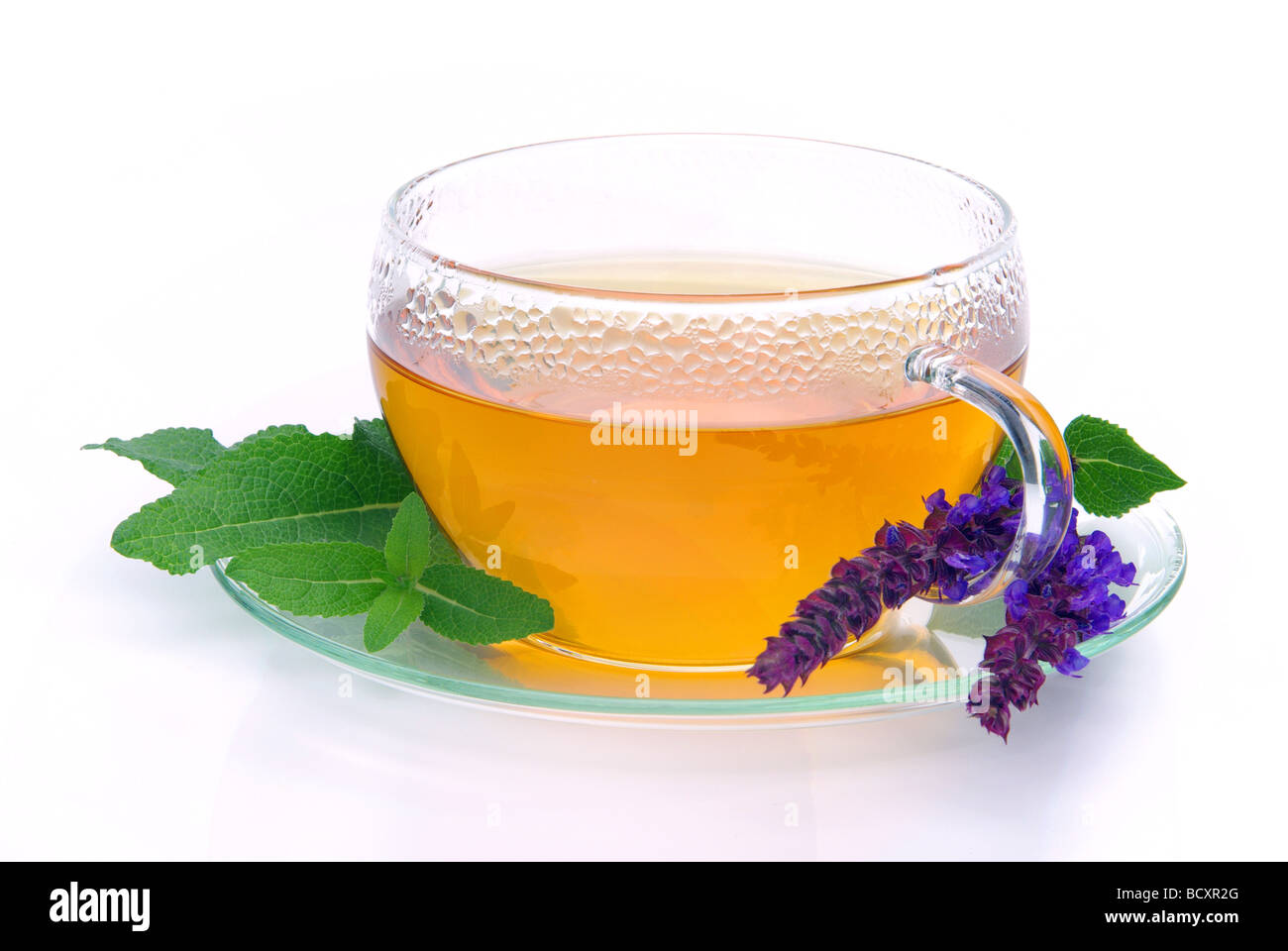 Salbei tea hi-res stock photography and images - Alamy