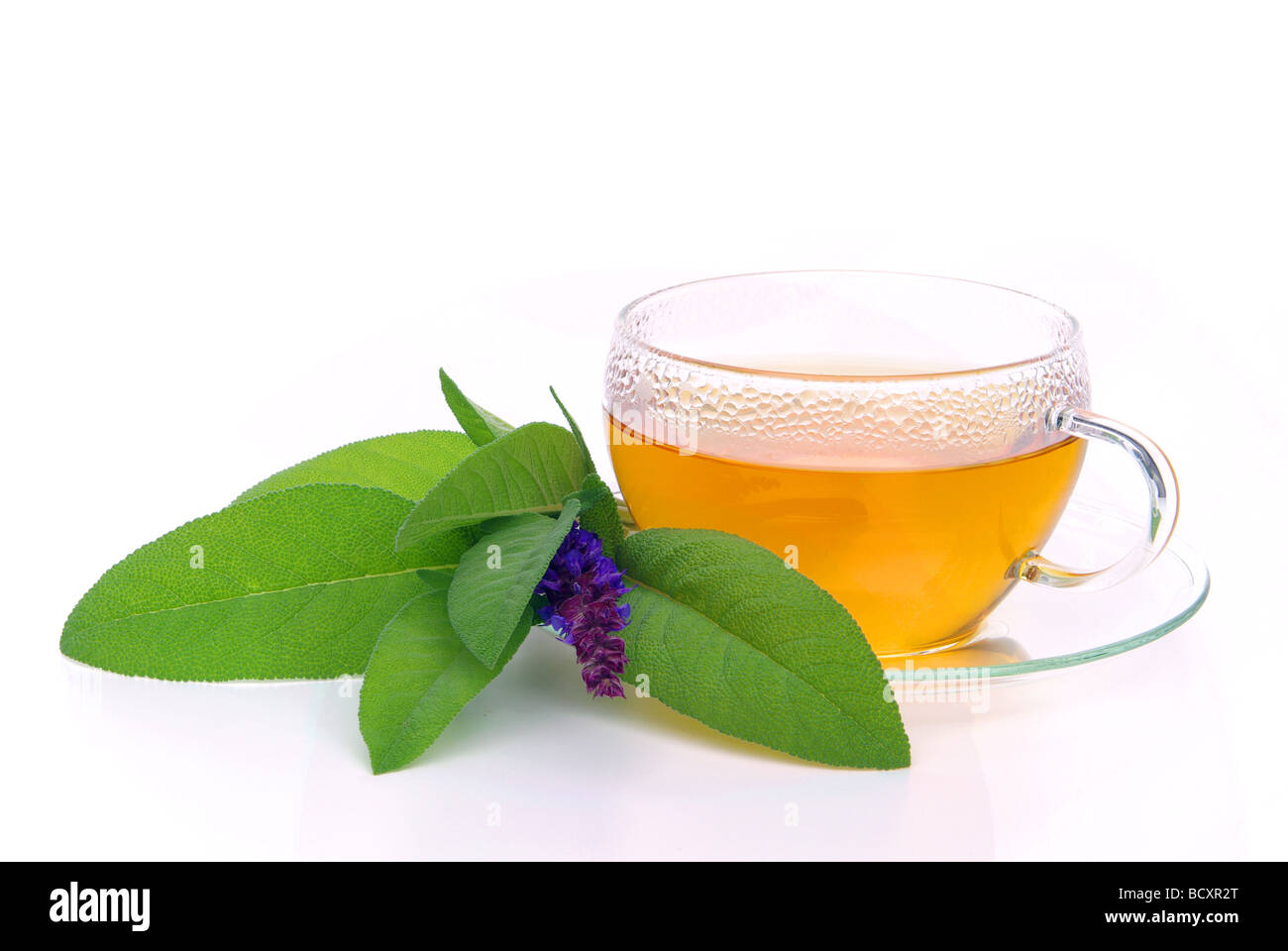 Salbei tea hi-res stock photography and images - Alamy