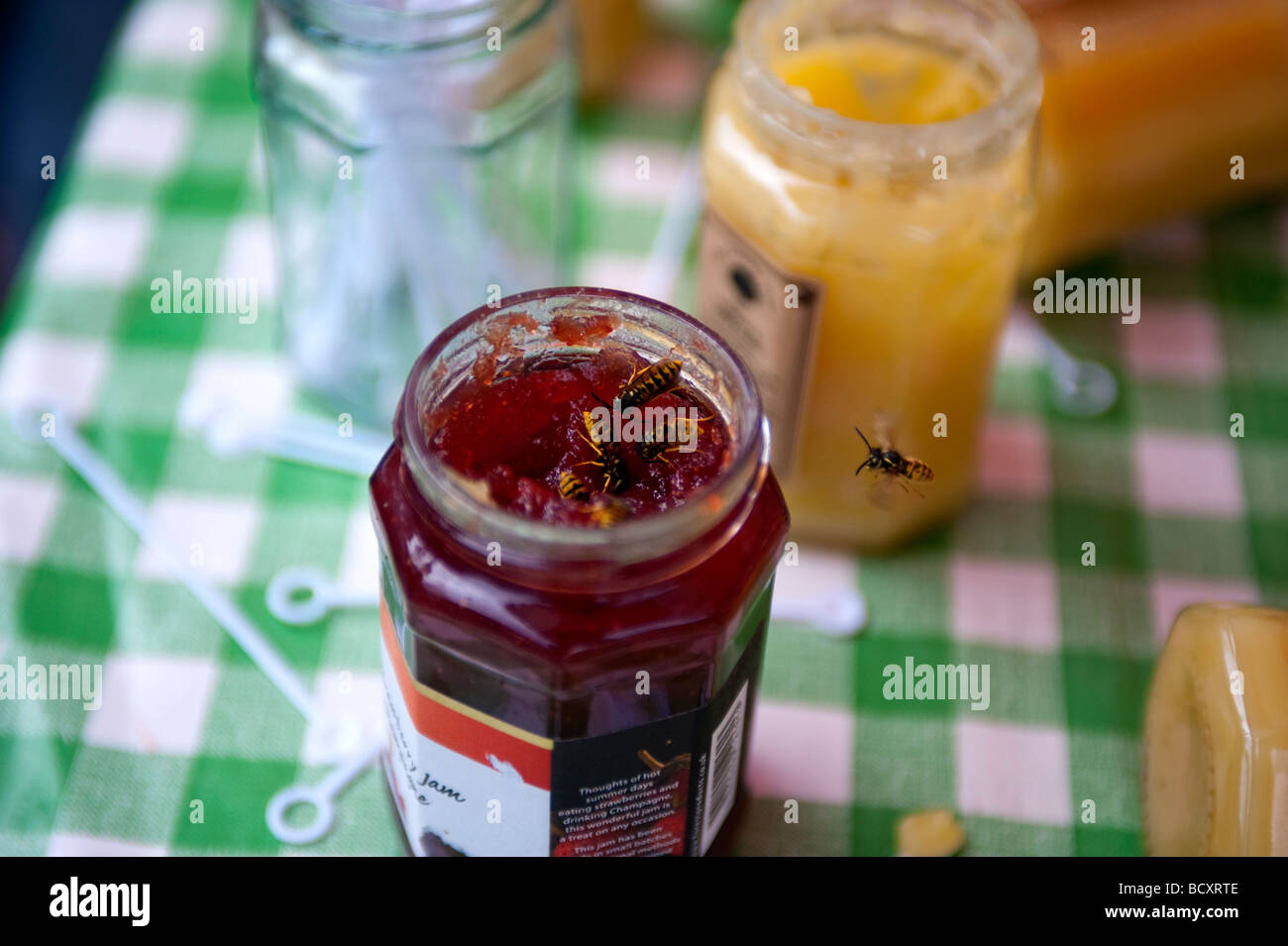 Annoying Wasps High Resolution Stock Photography and Images - Alamy