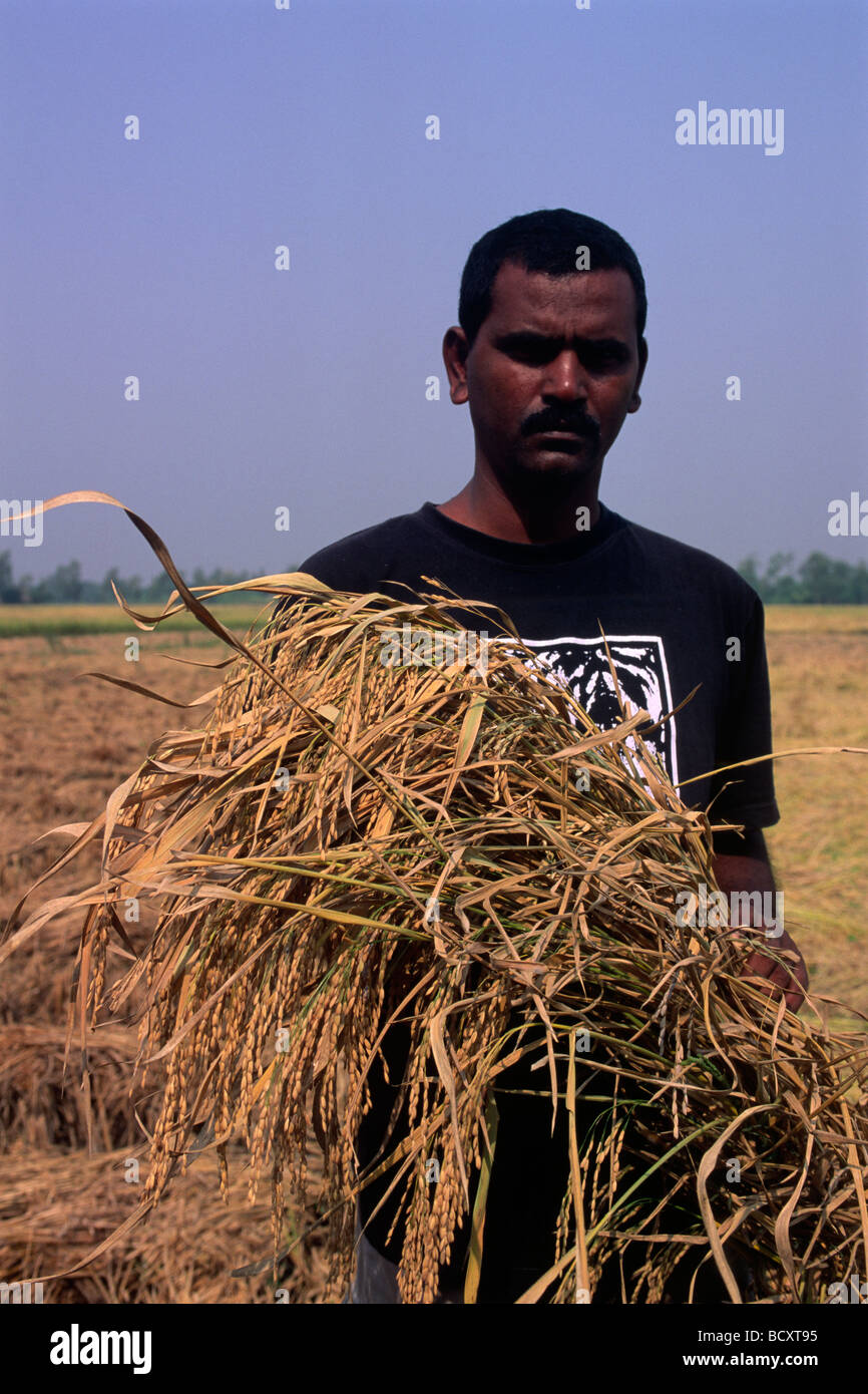 India, West Bengal, Sunderbans, Anil Krishna Mistry, Head of the ...