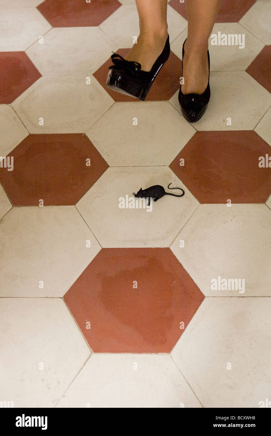 Woman feet mouse hi-res stock photography and images - Alamy