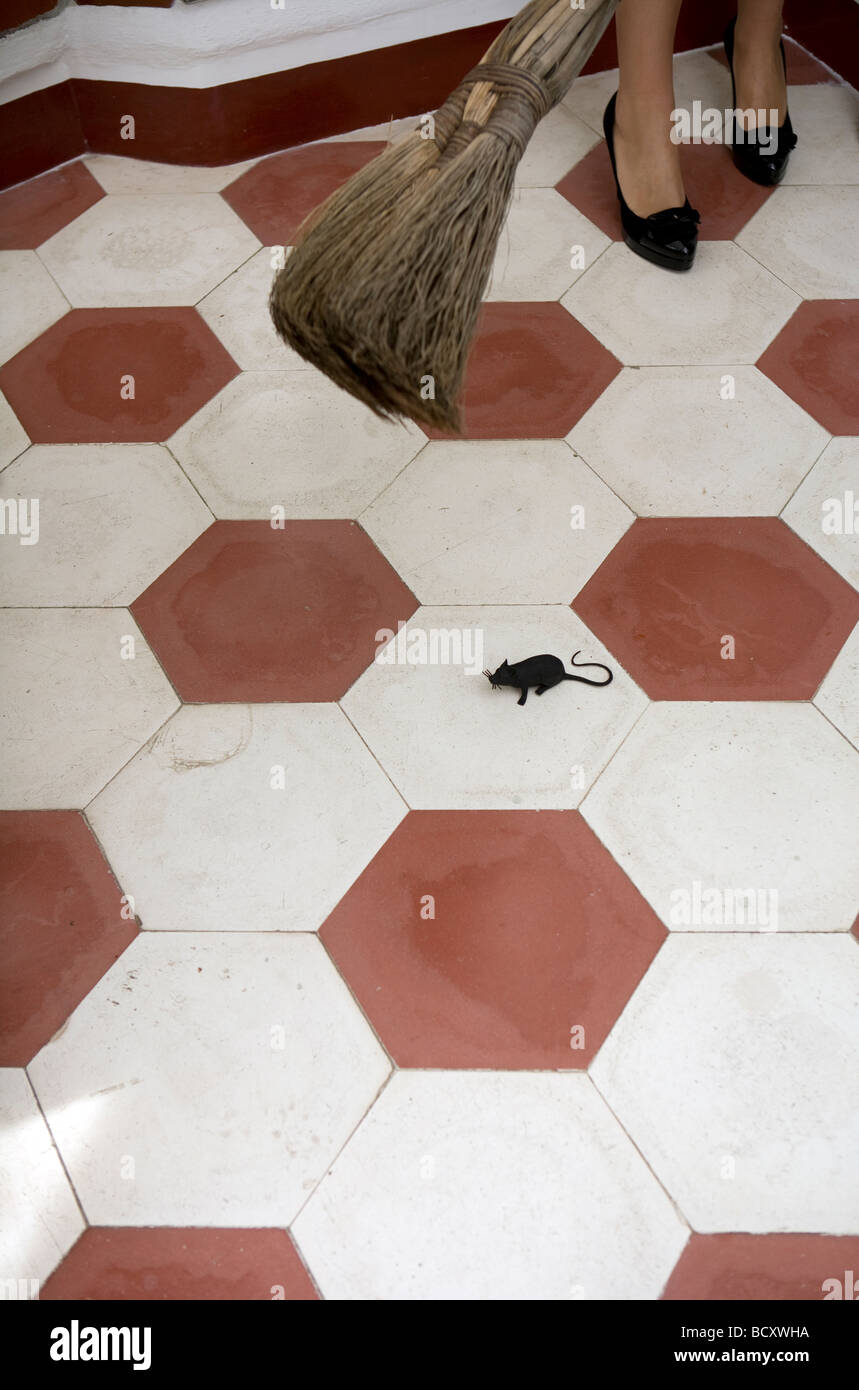 Woman scared mouse hi-res stock photography and images - Alamy