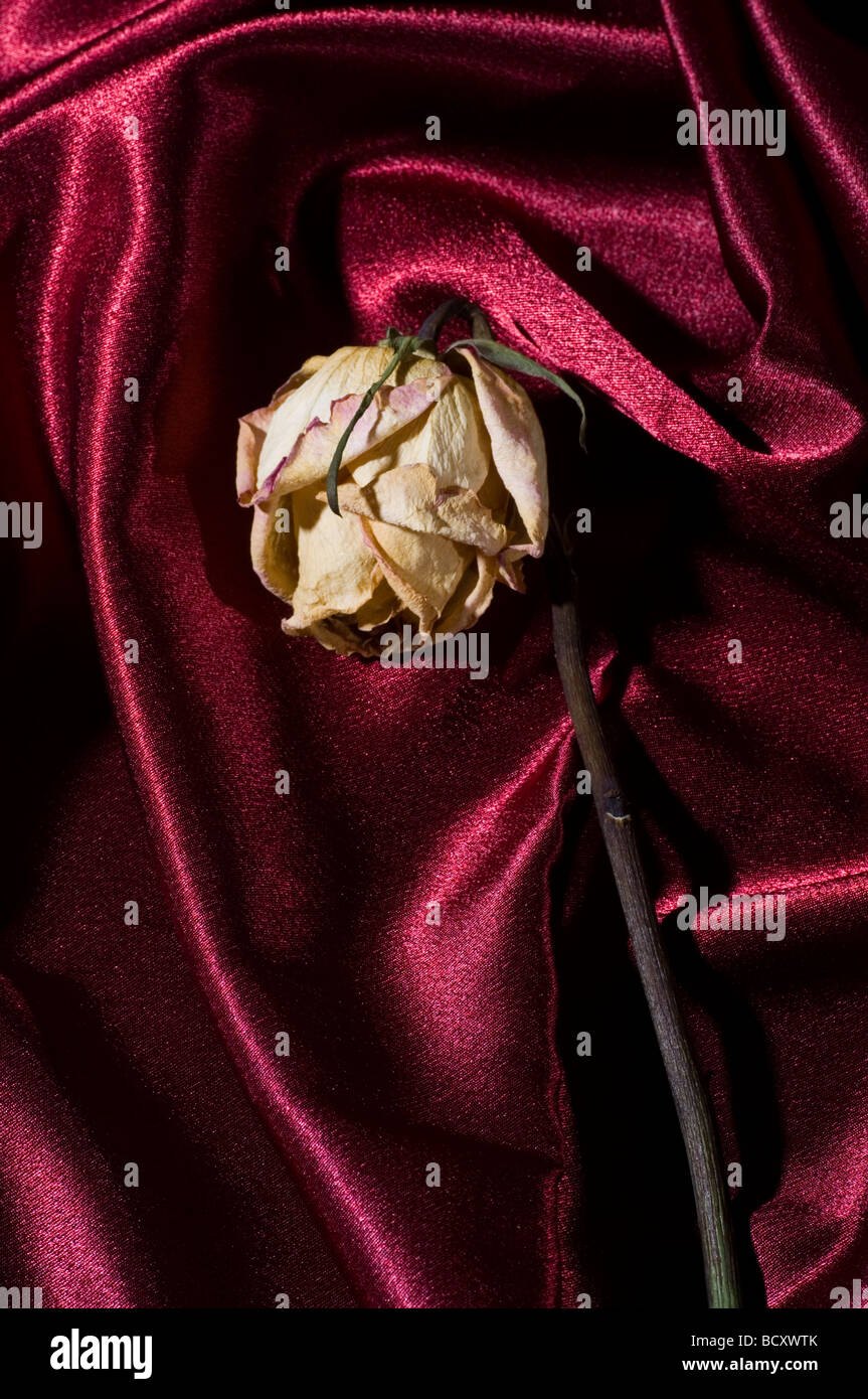 Satin sheets rose hi-res stock photography and images - Alamy