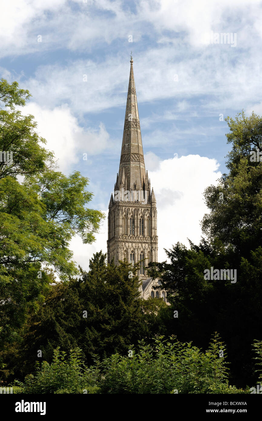 Salisbury Cathedral Wiltshire Stock Photo - Alamy
