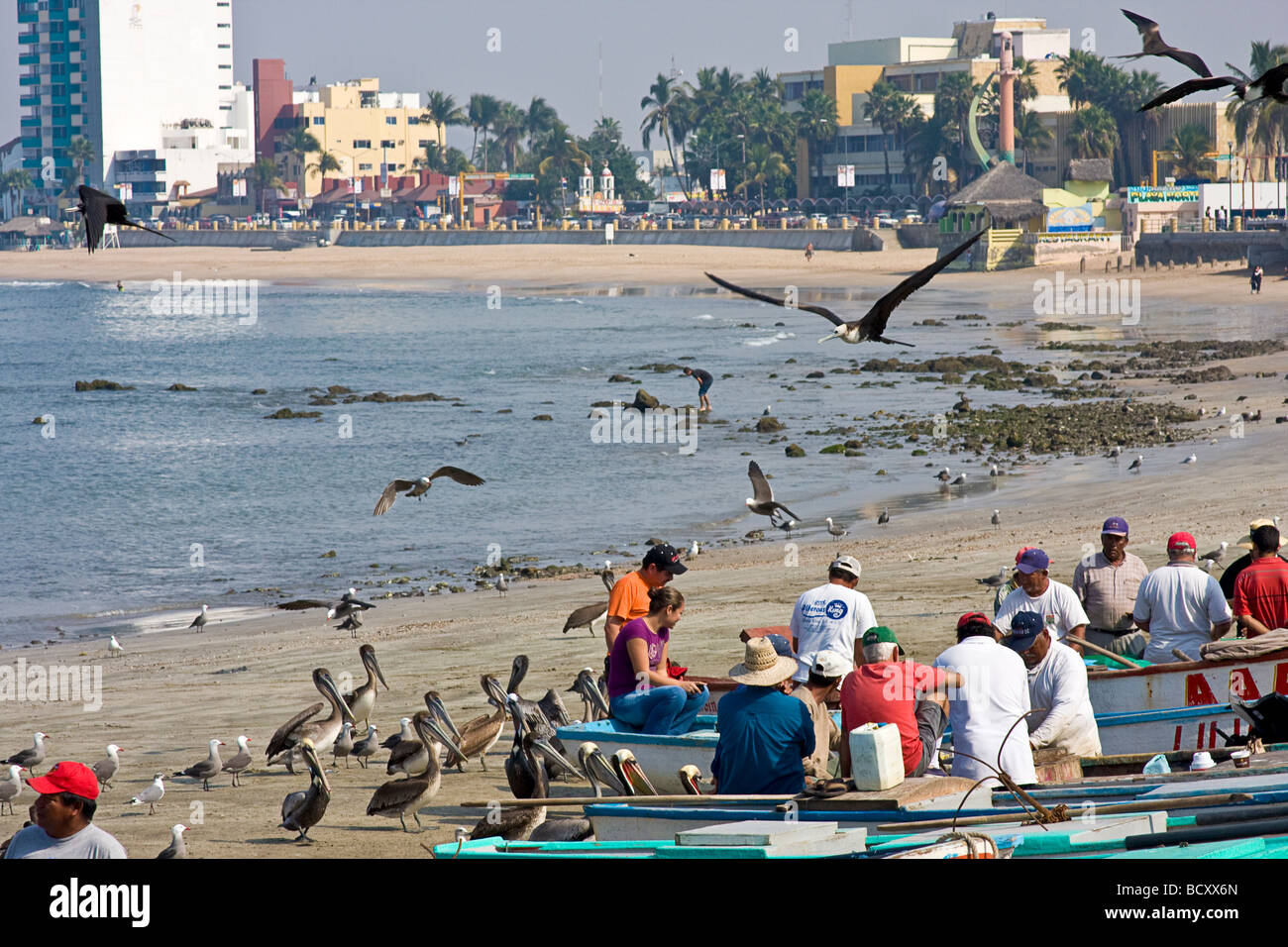 Malecon mazatlan hi-res stock photography and images - Alamy