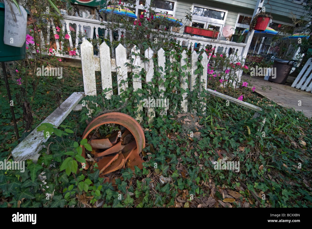 quaint old historic town of Micanopy in North Central Florida Stock ...