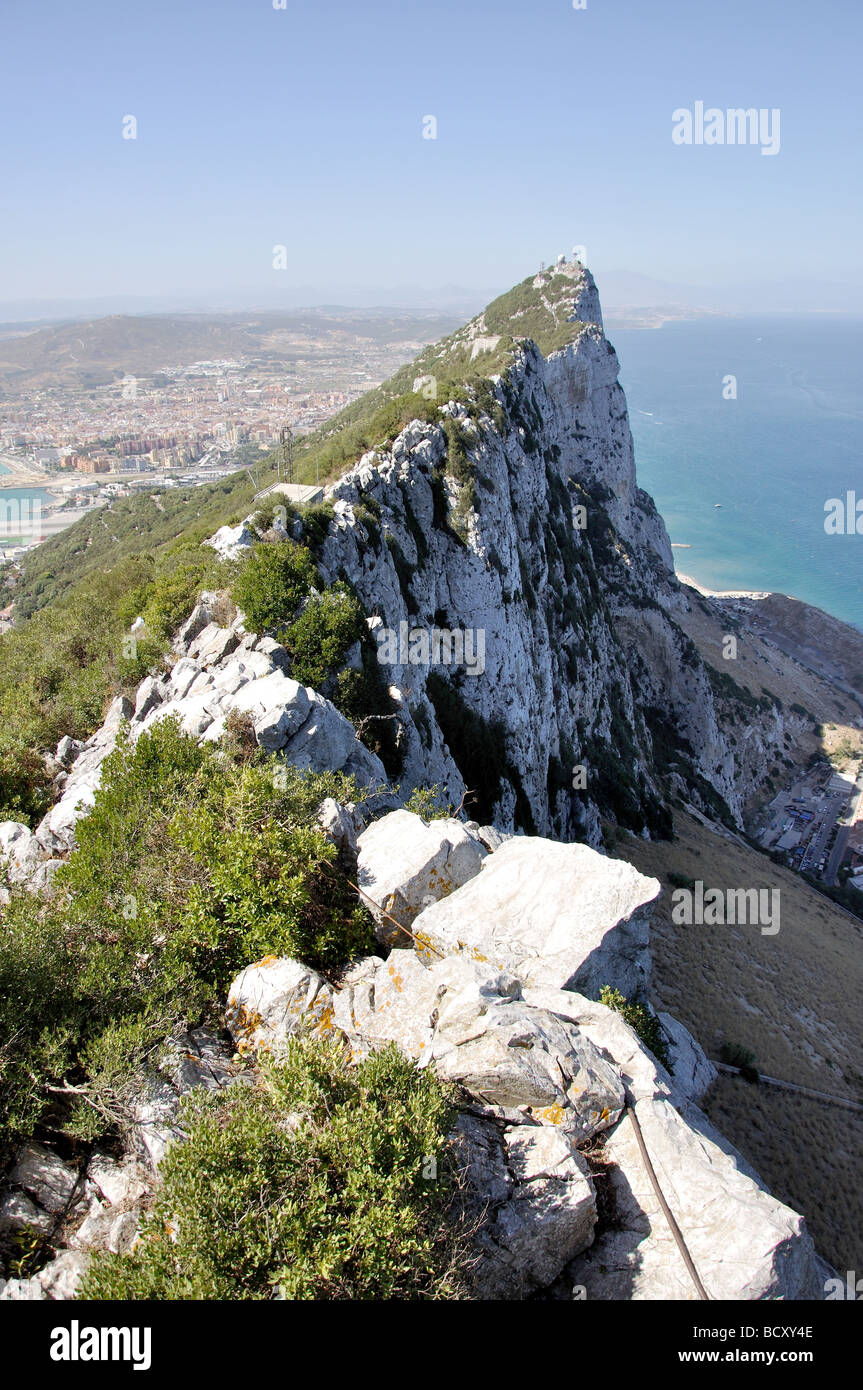 Lenea hi-res stock photography and images - Alamy