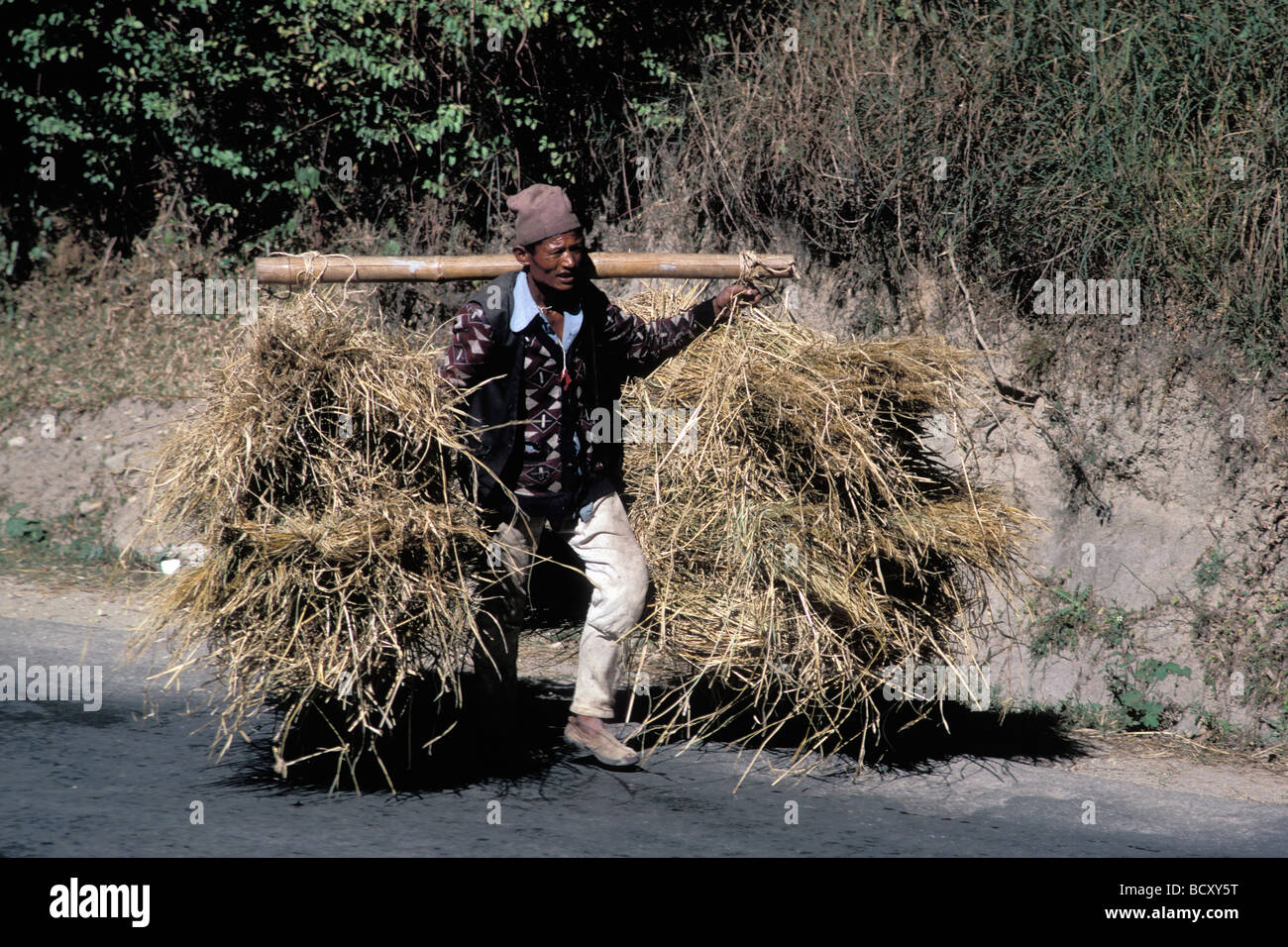 Man carrying two heavy bales of rice straw on yoke Bhaktapur Nepal ...