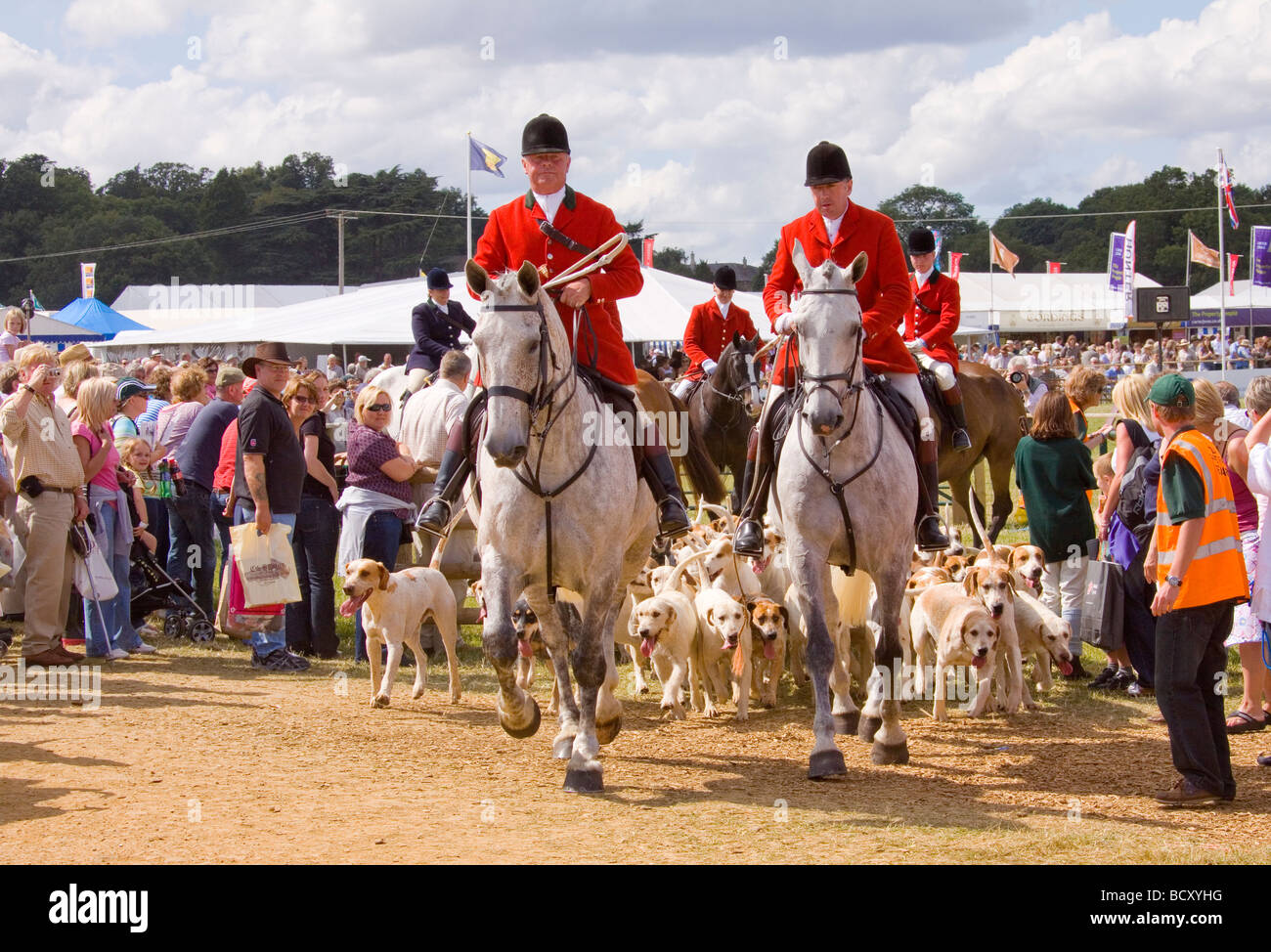 Displaying the pack of hounds Stock Photo - Alamy