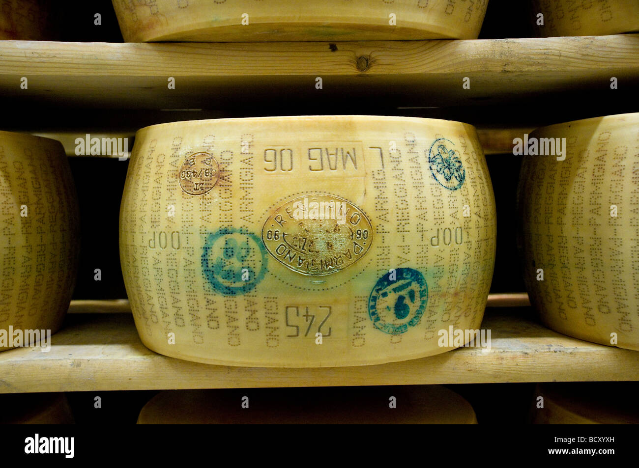Cheese factory in the Emilia Romagna region of Italy specializes in ...
