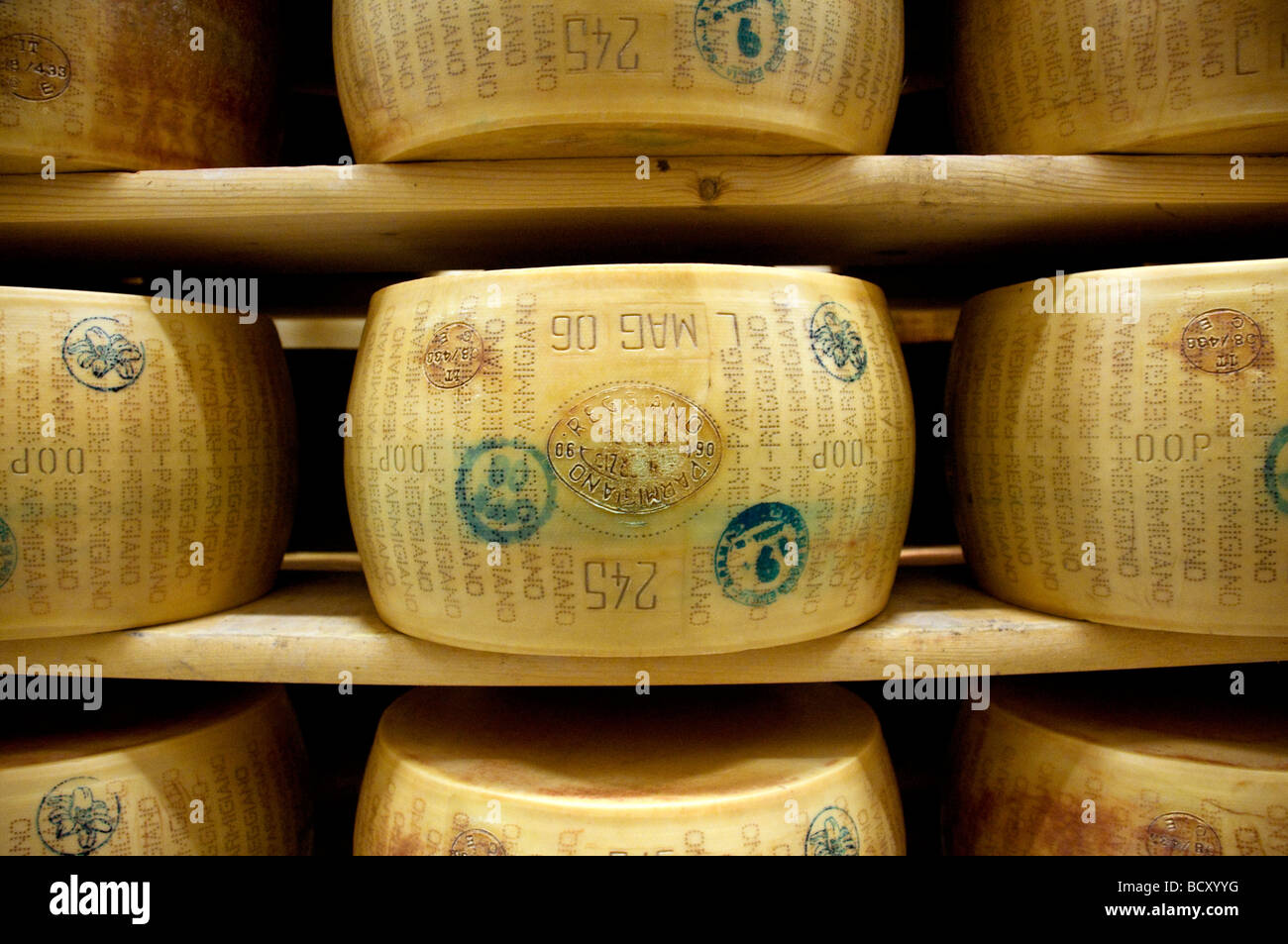 Cheese factory in the Emilia Romagna region of Italy specializes in ...