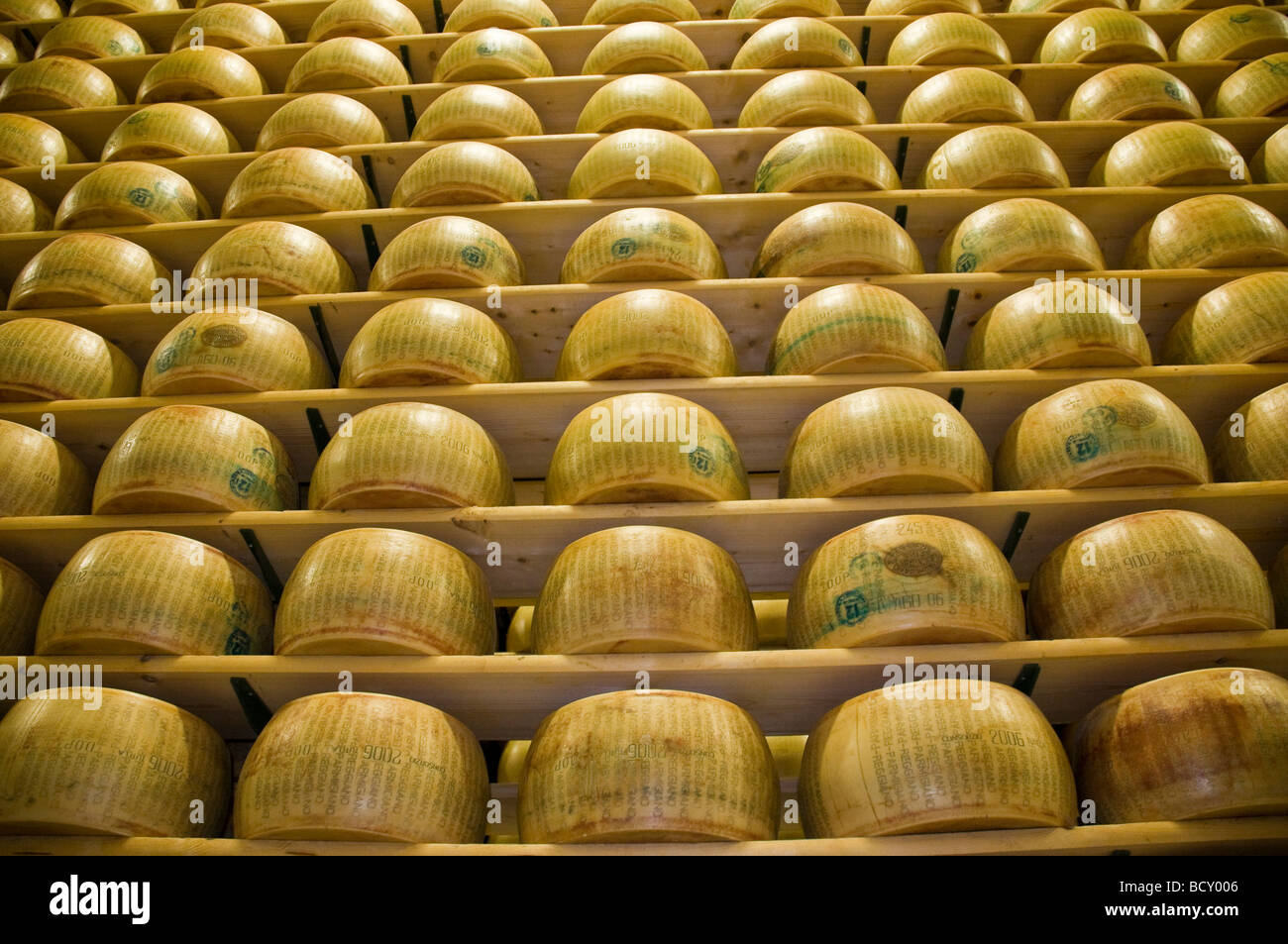 Cheese factory in the Emilia Romagna region of Italy specializes in ...