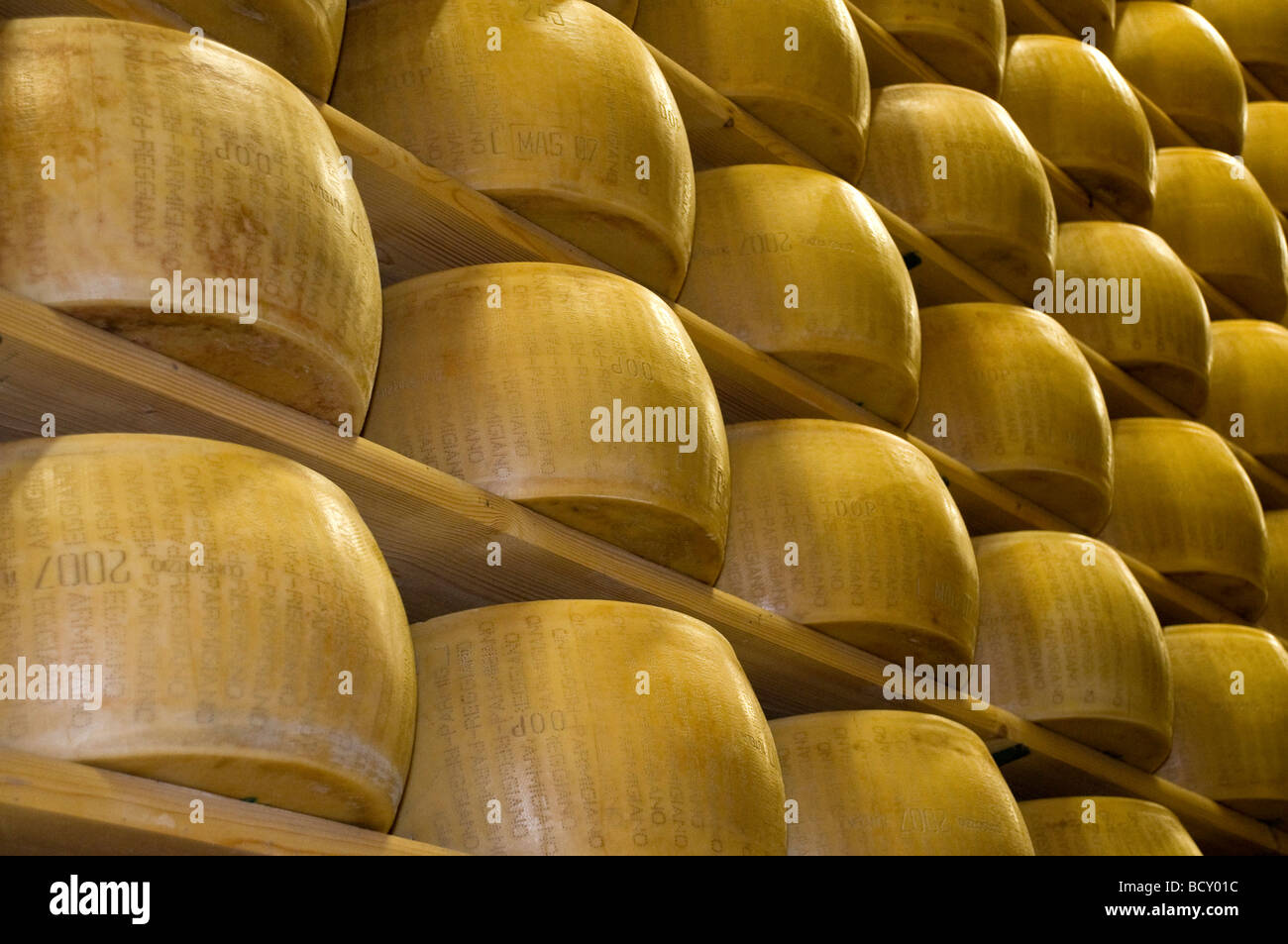 Cheese factory in the Emilia Romagna region of Italy specializes in ...