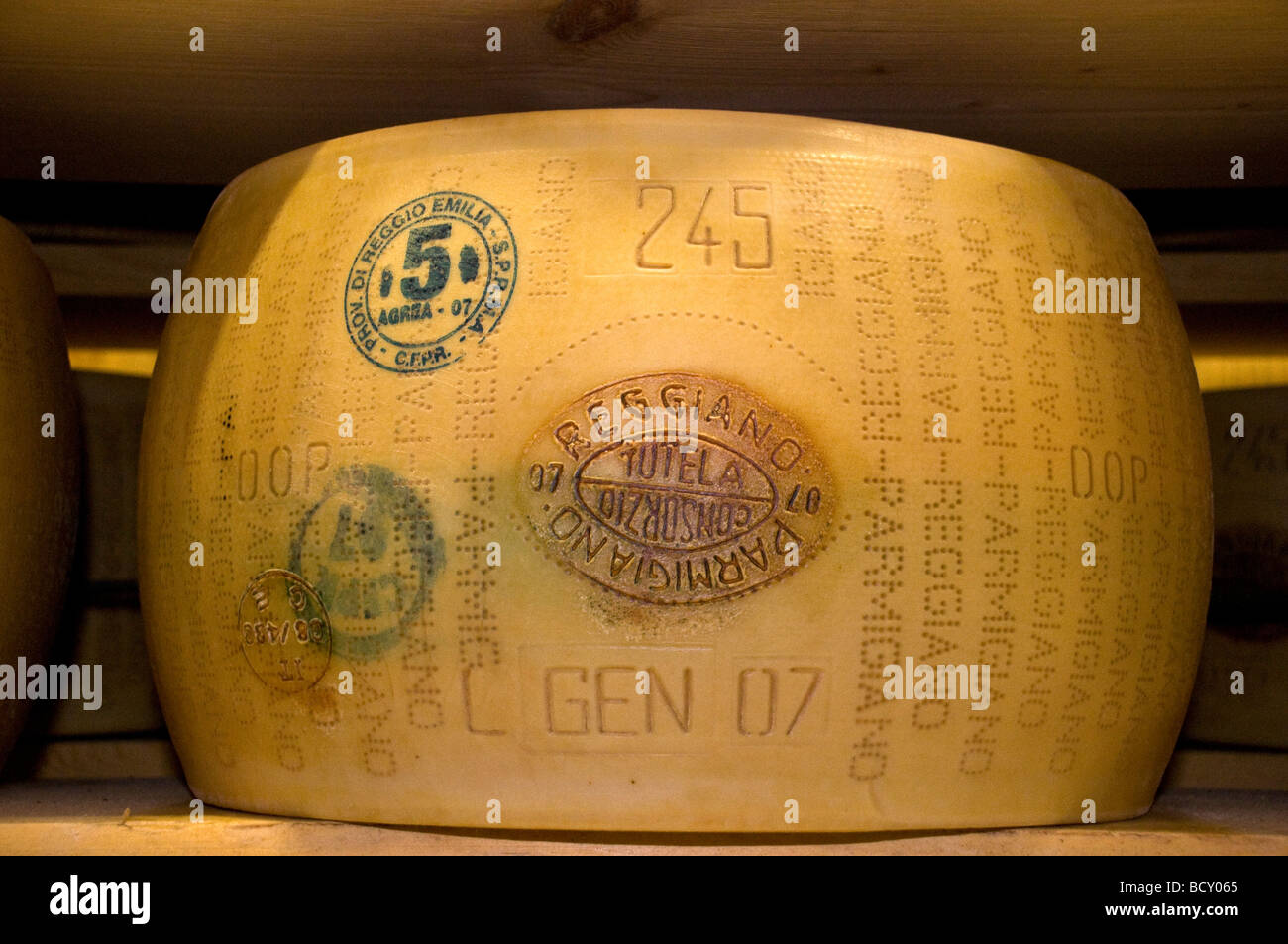 Cheese factory in the Emilia Romagna region of Italy specializes in ...