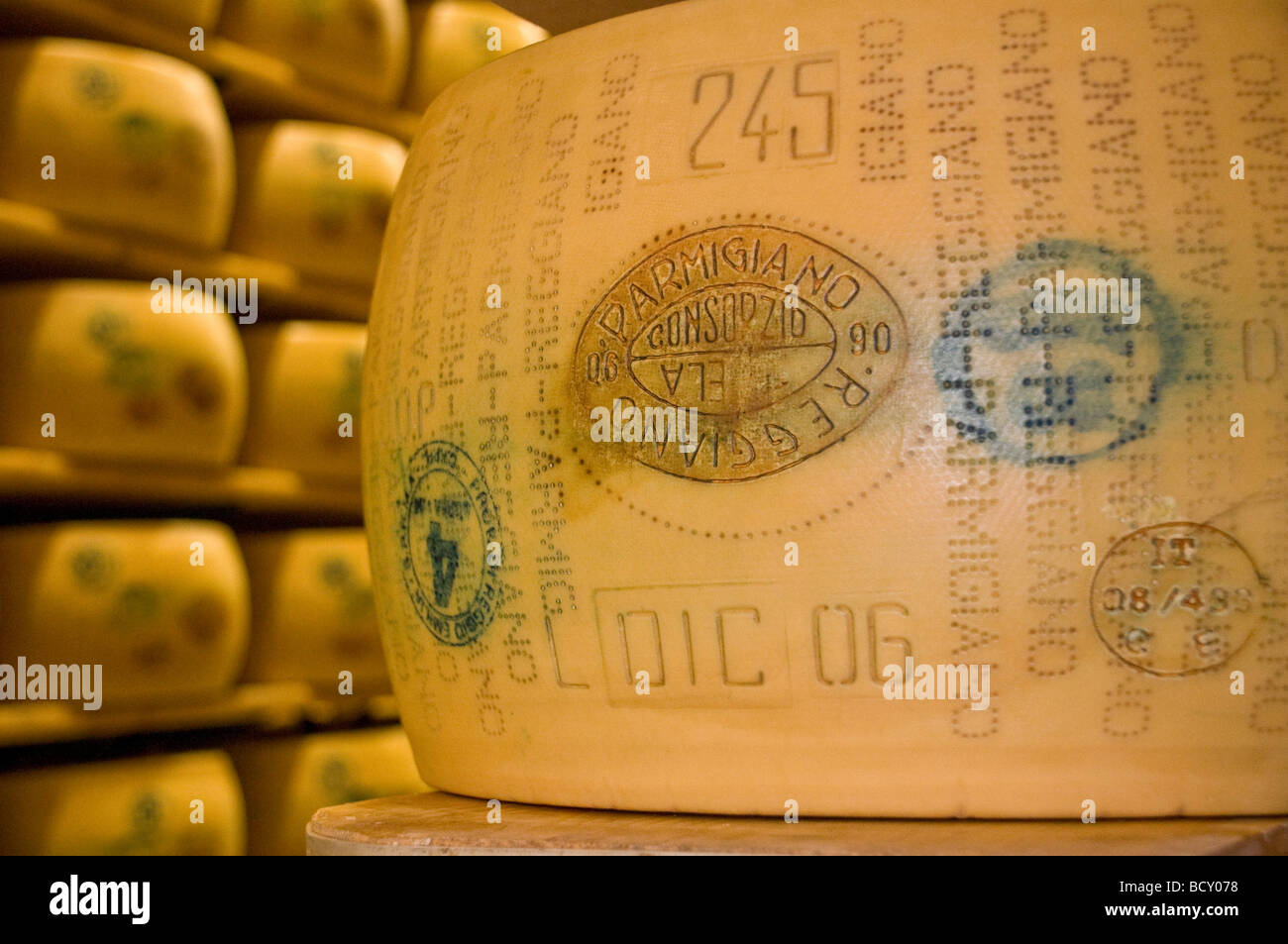 Cheese factory in the Emilia Romagna region of Italy specializes in ...