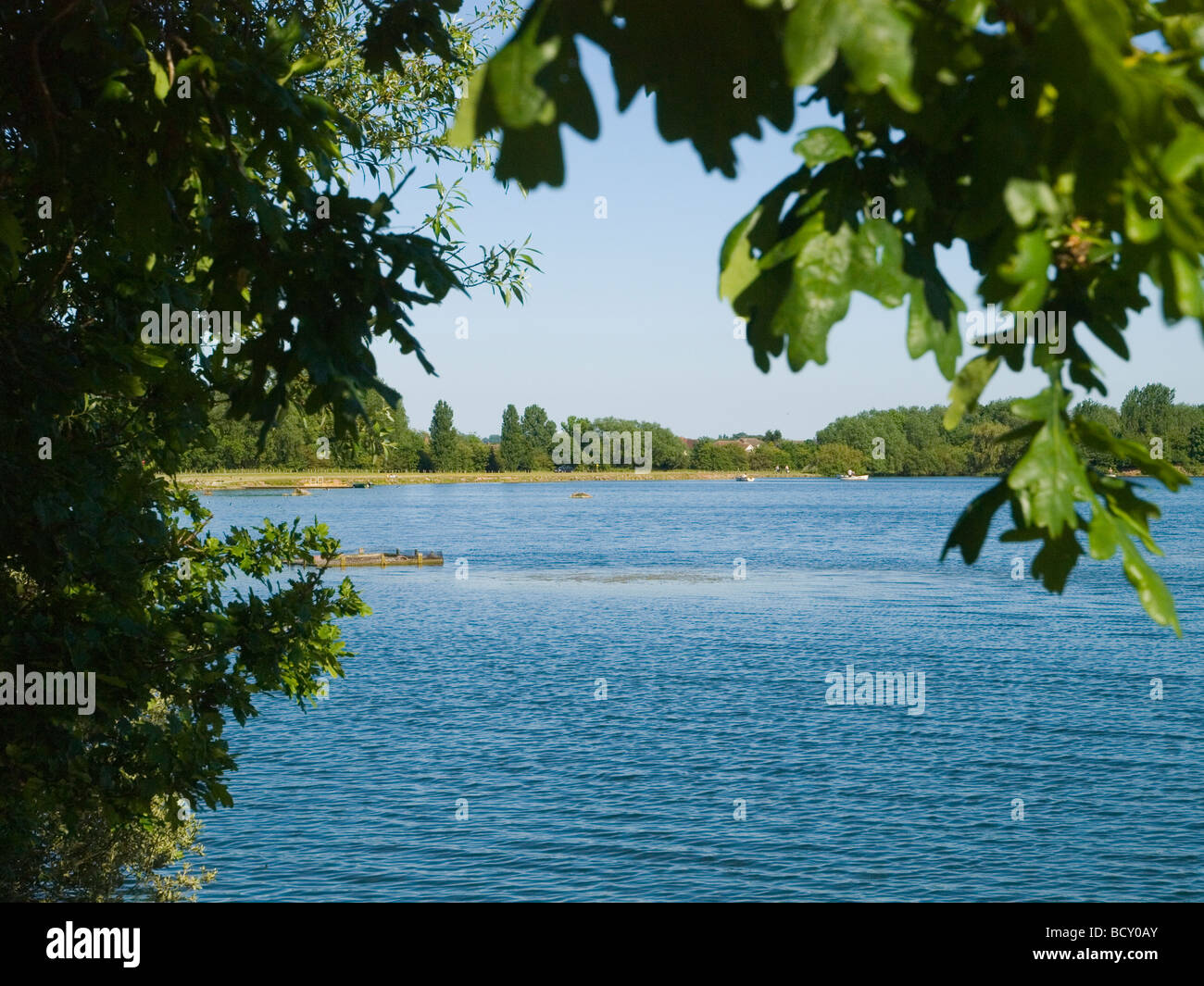 The lake at Colwick Country Park, Nottingham Nottinghamshire England UK ...