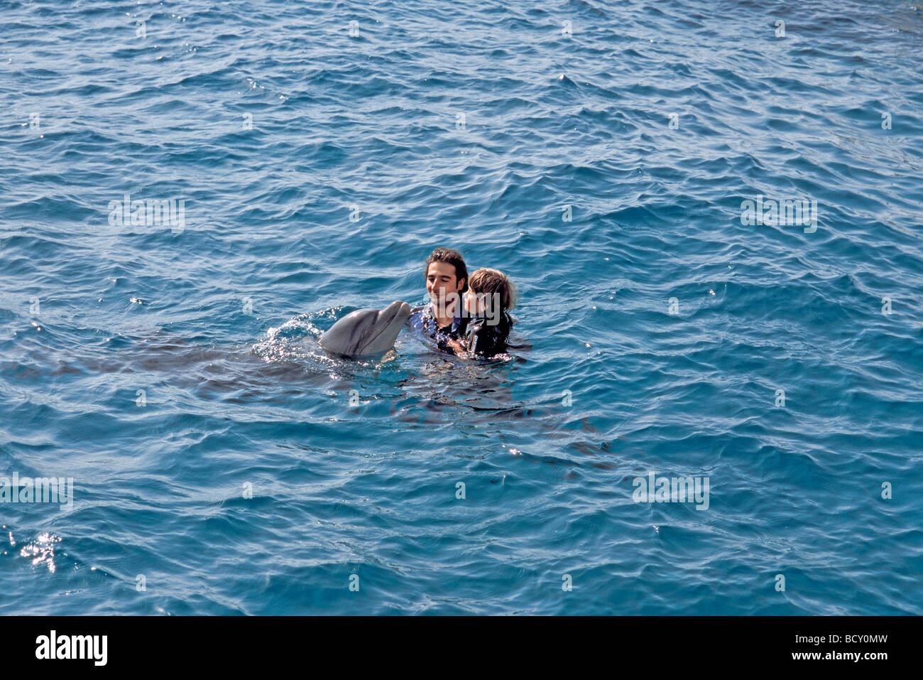 Autistic child receives therapy with dolphin trainer and Bottlenose ...