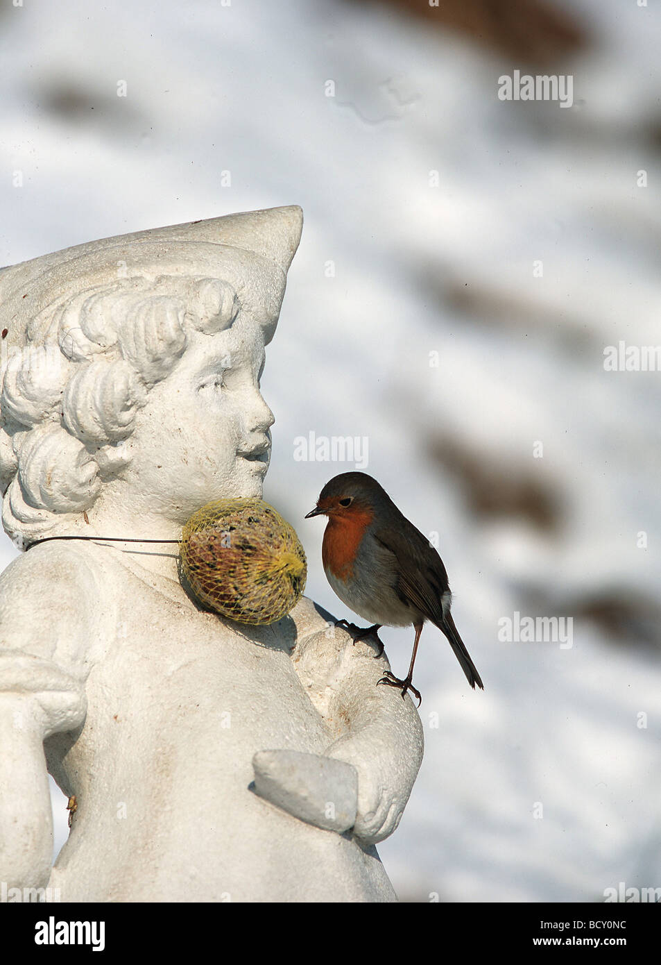 Robin singing house hi-res stock photography and images - Alamy